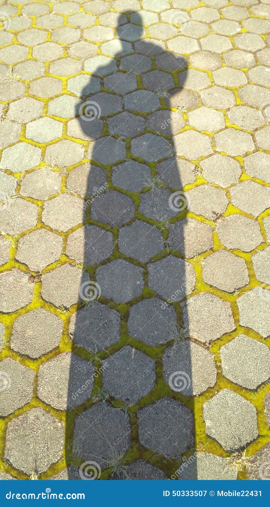 SHADOW PHOTO stock image. Image of sunny, house, artistic - 50333507