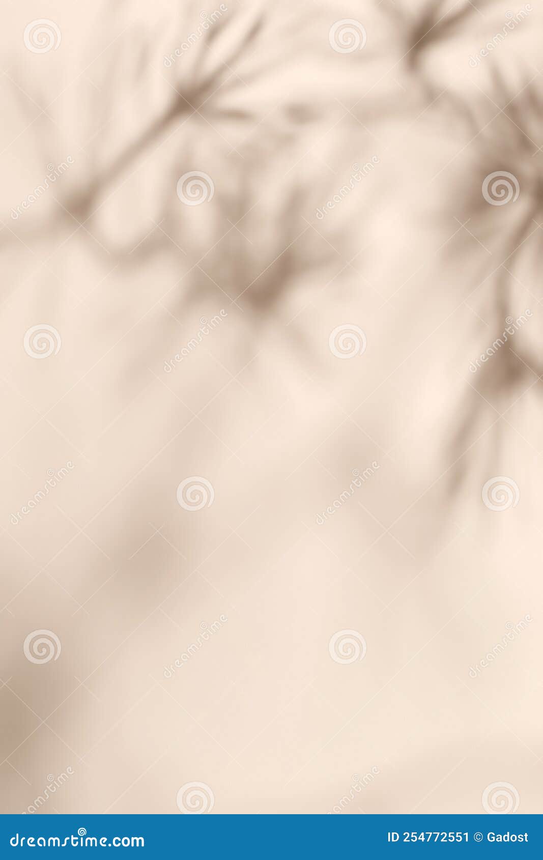 Shadow of Pine Tree on Solid Beige Wall Texture Background Stock Image ...