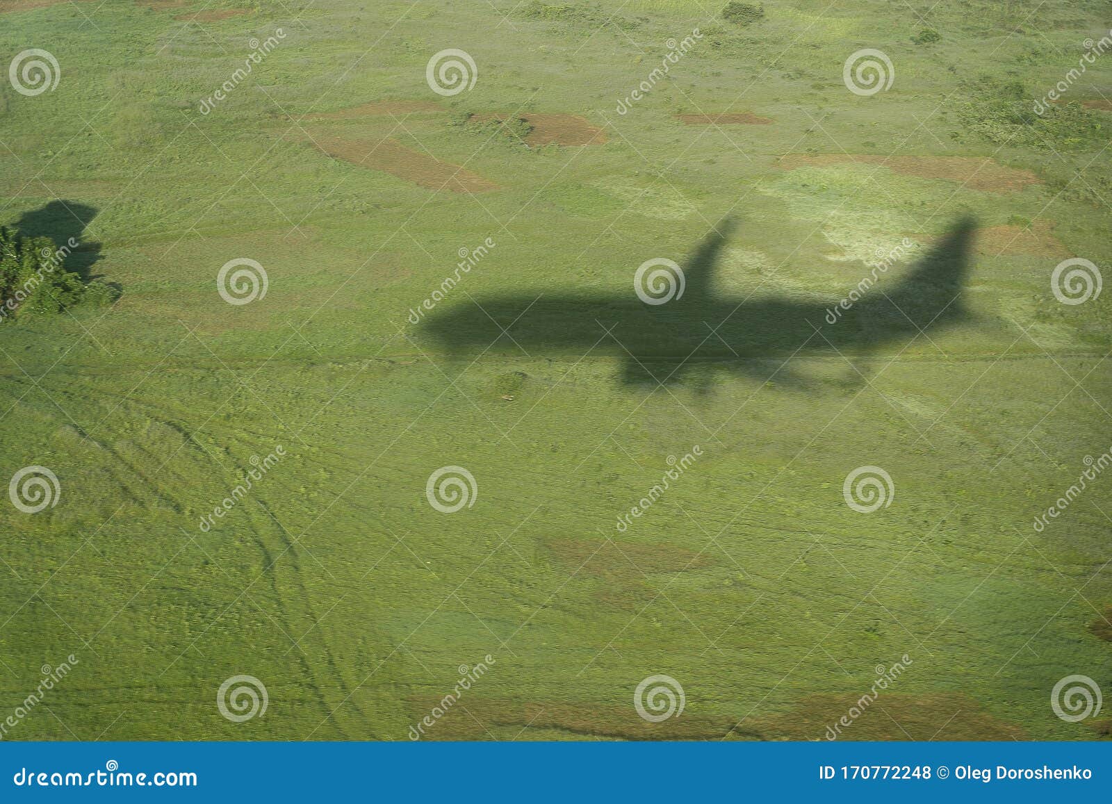 Shadow of the Plane in the Green Fields during the Landing Stock Photo ...