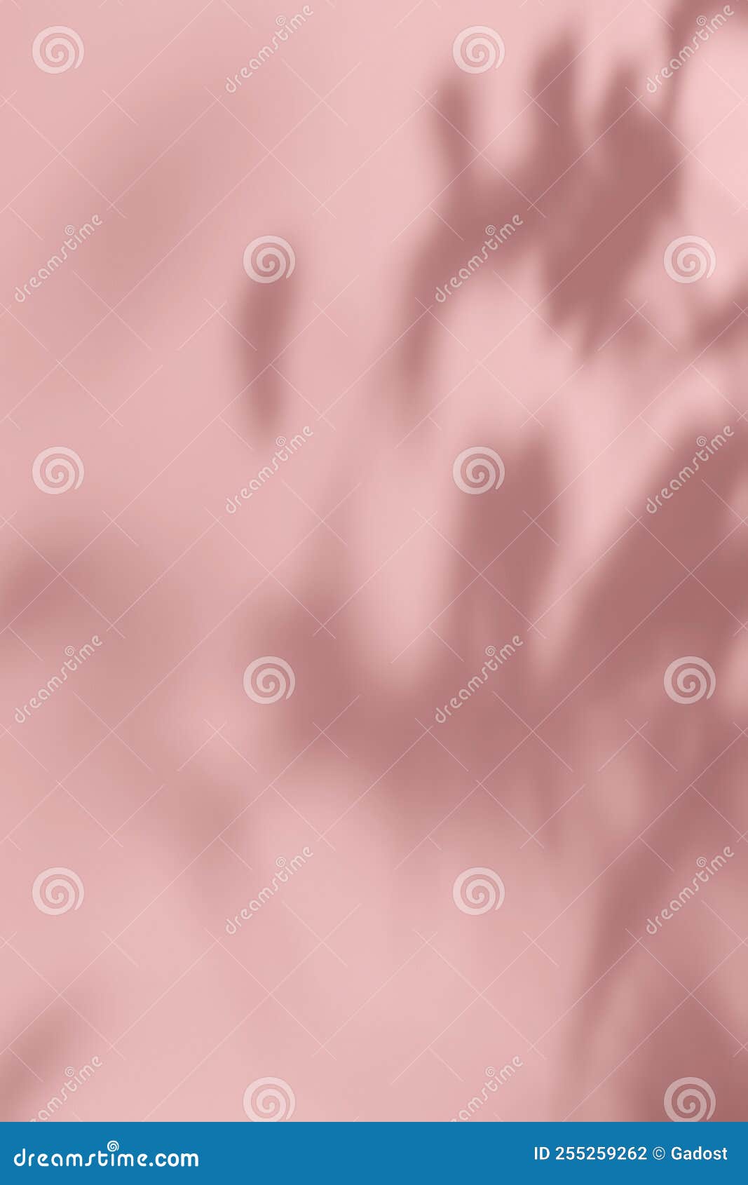 Shadow of Plants on Solid Pink Wall Texture Background Stock Photo ...