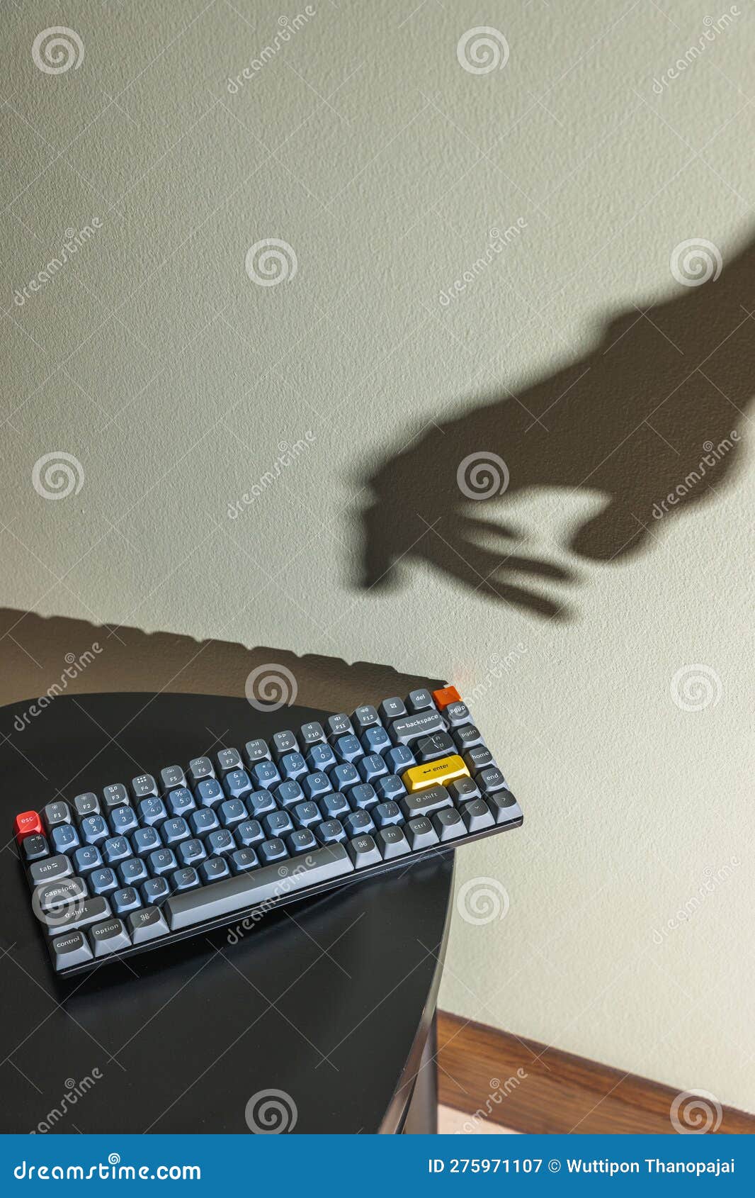 Shadow Play a Gaming Keyboard Stock Image - Image of typing, design ...