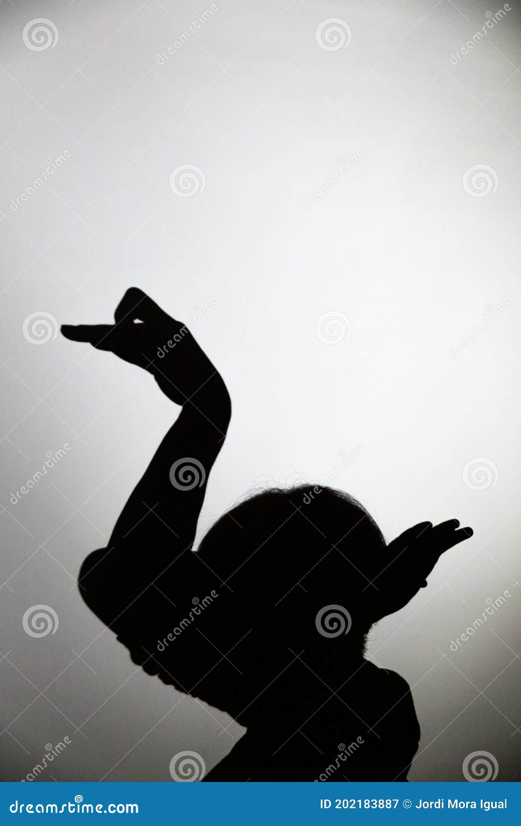 Shadow Play Projected Against a White Background. Swan Stock Image ...