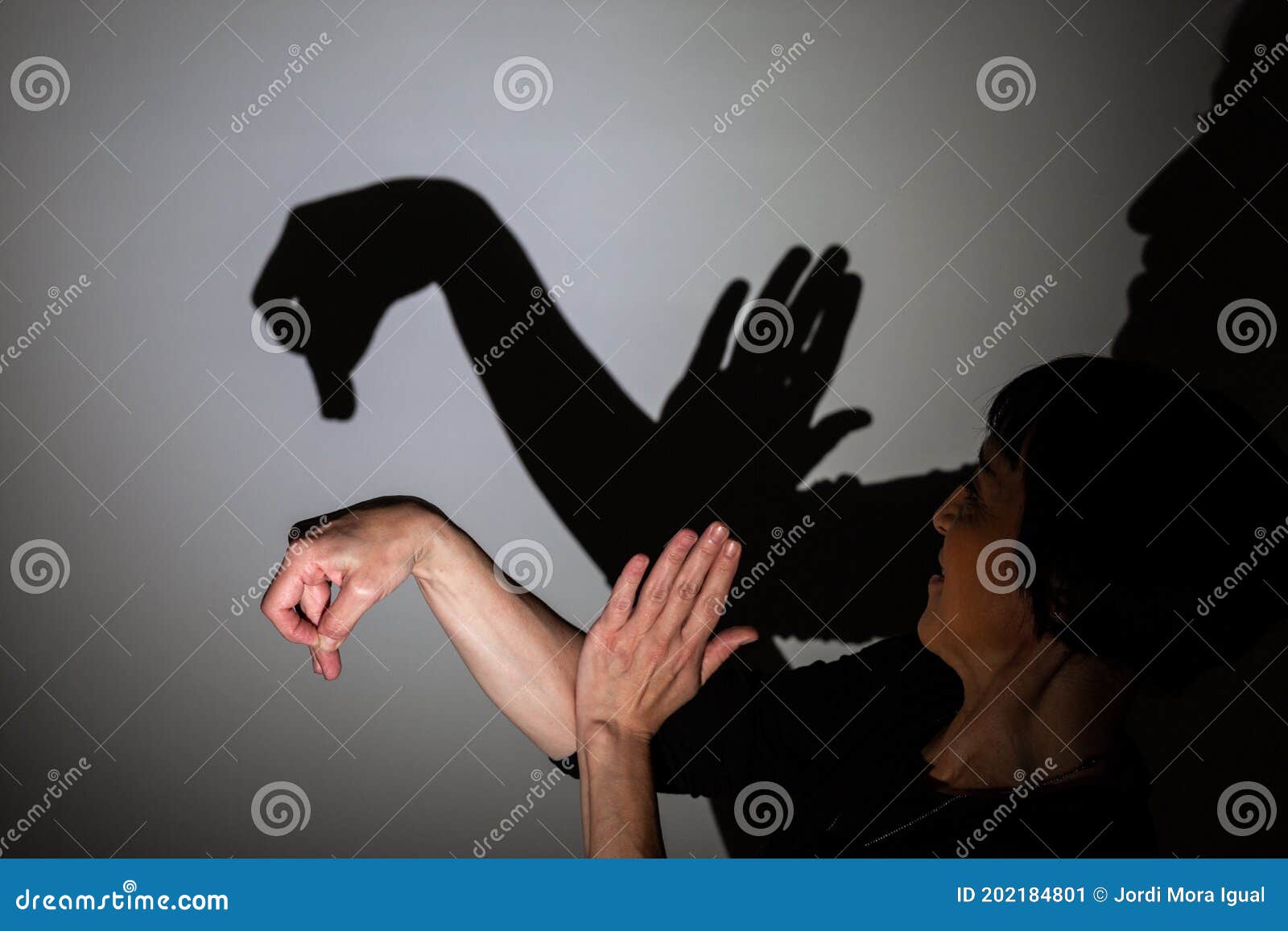 Shadow Play Projected Against a White Background. Swan Stock Image ...