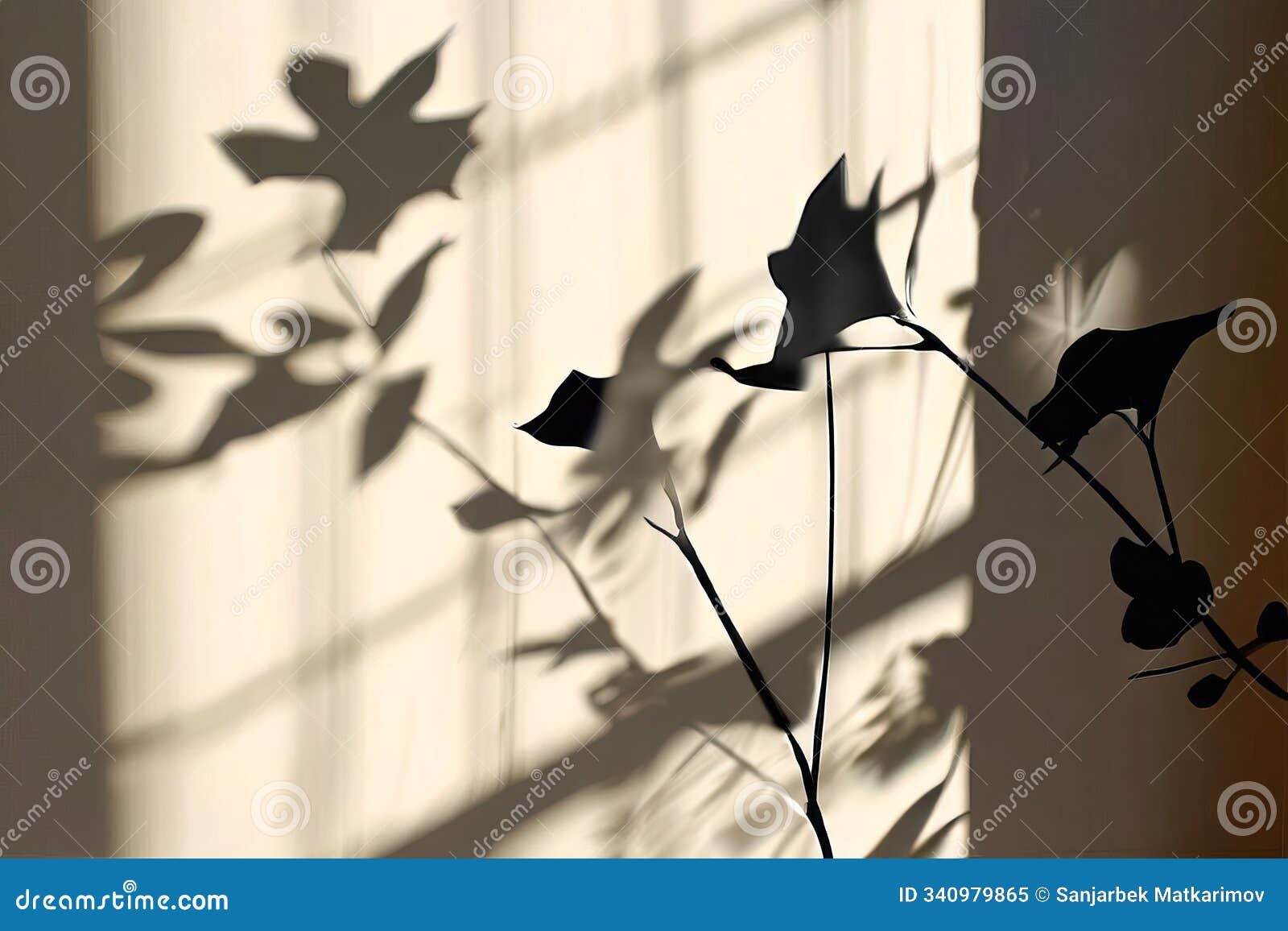 Shadow Play Use Photogram Techniques To Create Shadow Silhouette Stock ...