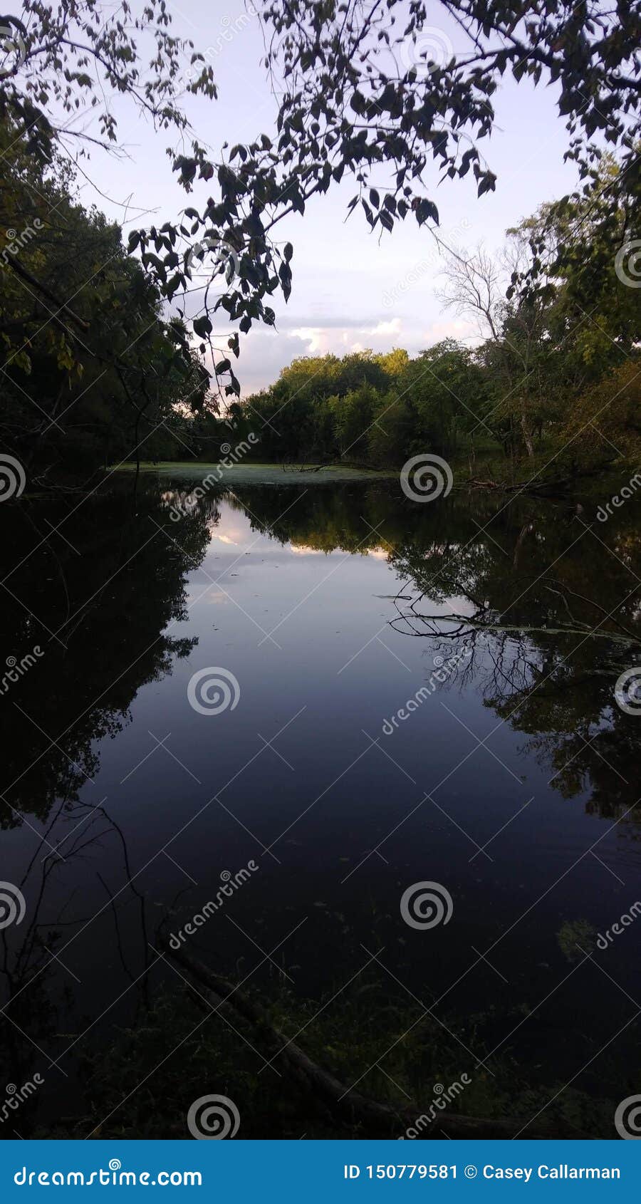 Shadow Pond stock image. Image of pond, farm, water - 150779581