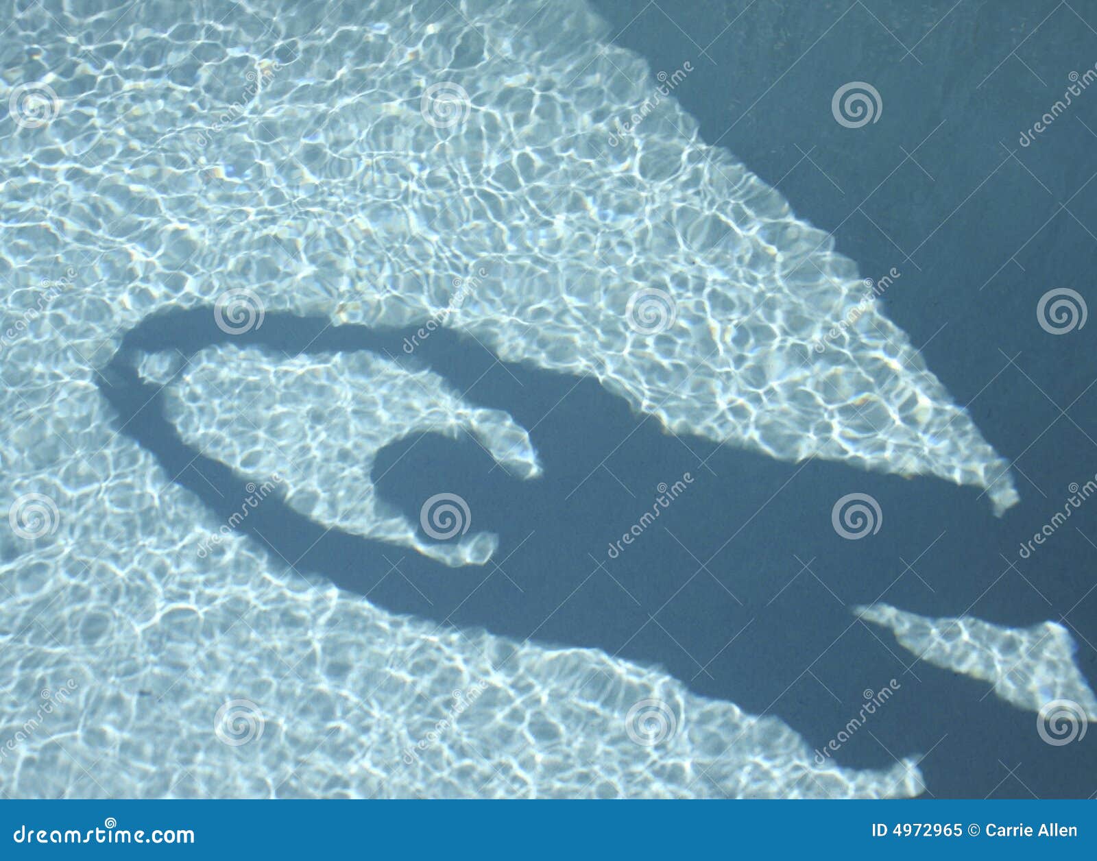 Shadow in the Pool stock image. Image of summer, shadow - 4972965