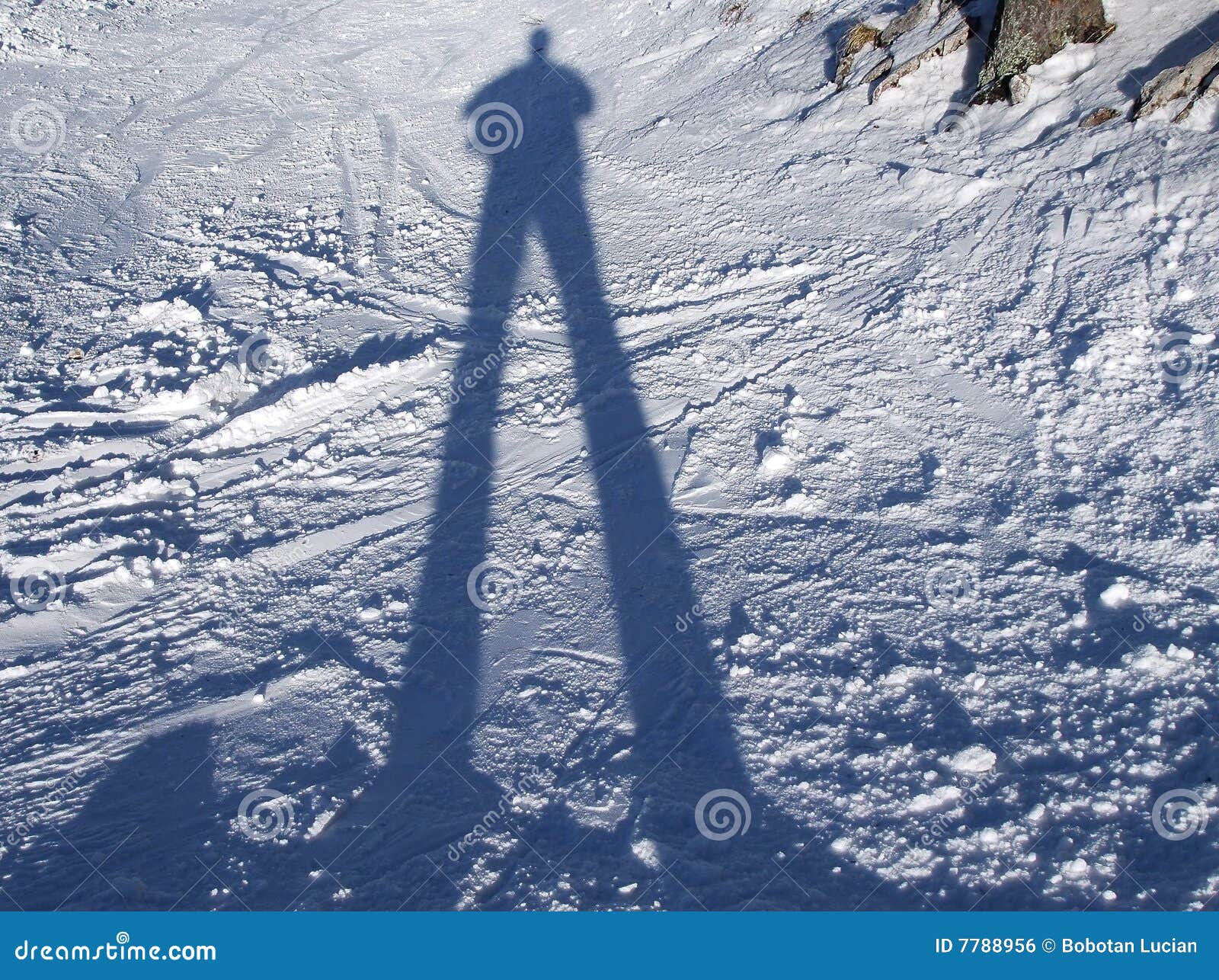 Shadow projection stock photo. Image of abstract, nature - 7788956