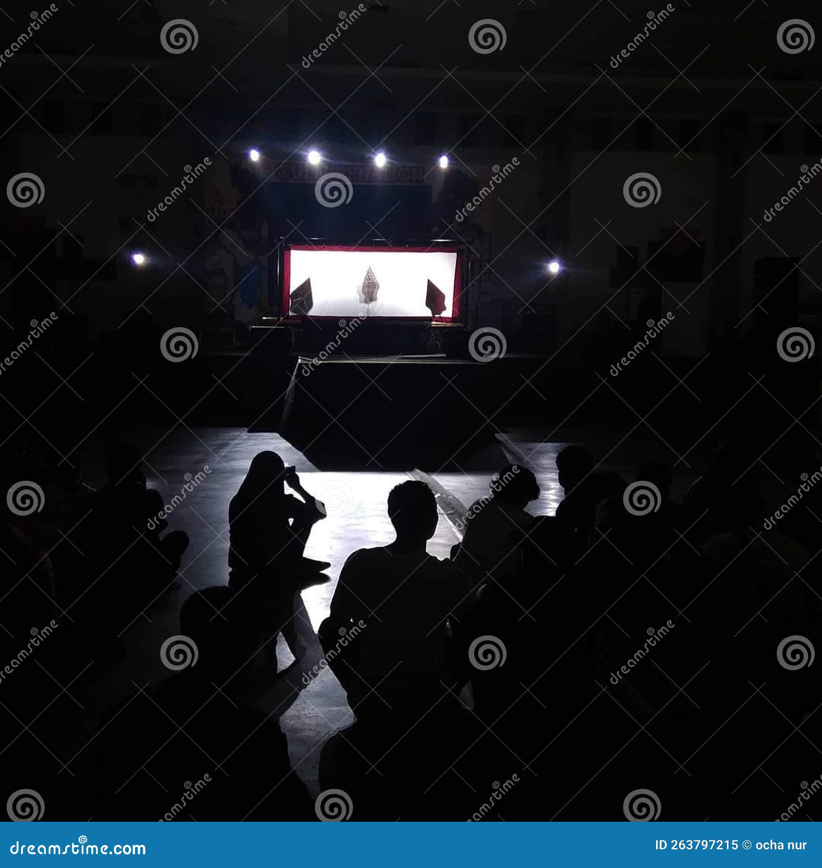 Shadow Puppet Show at Night Editorial Image - Image of night, doll ...