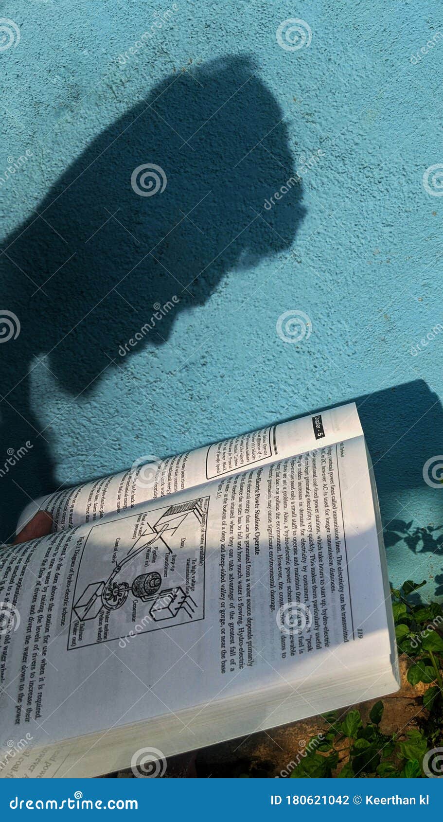When the Shadow is Reading the Book it S the Game of Shadows in the ...