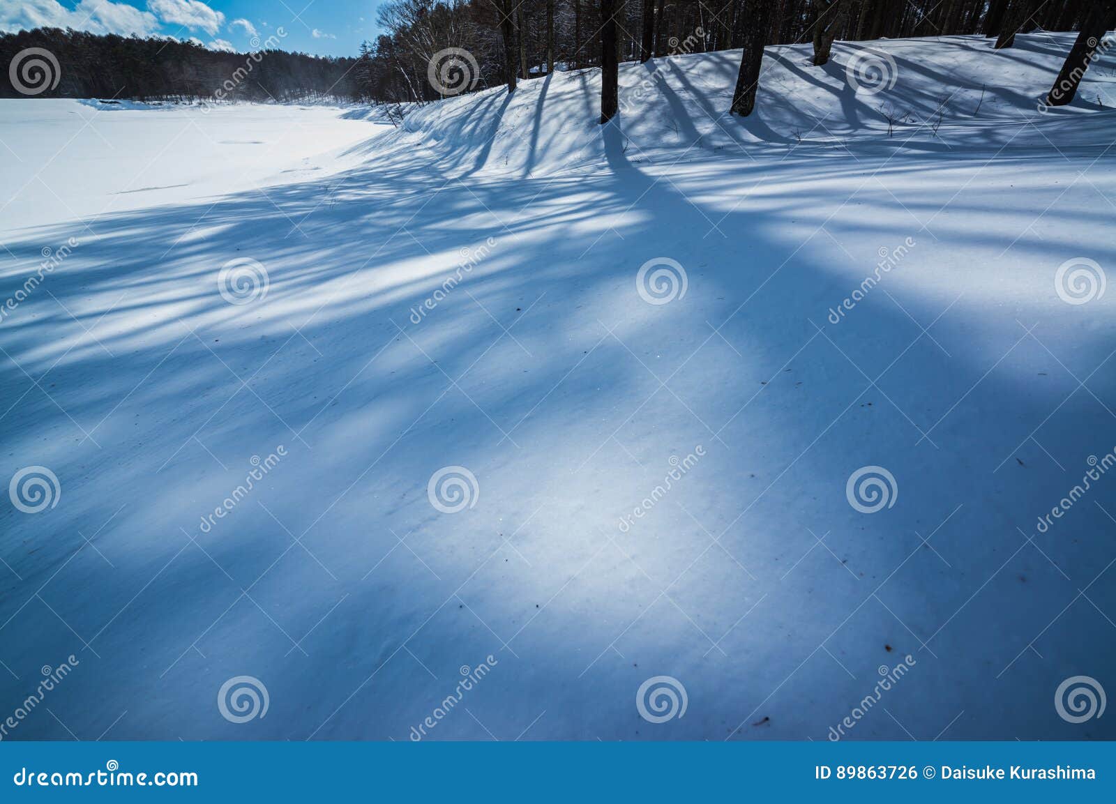Shadow Reflected on the Snow Surface Stock Photo - Image of snow ...