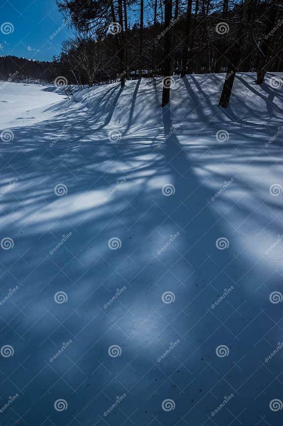Shadow Reflected on the Snow Surface Stock Photo - Image of nature ...