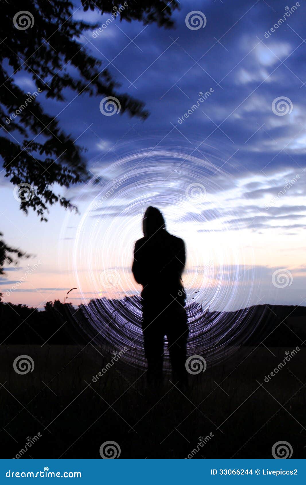 Shadow rodden stock photo. Image of plant, shadow, dark - 33066244