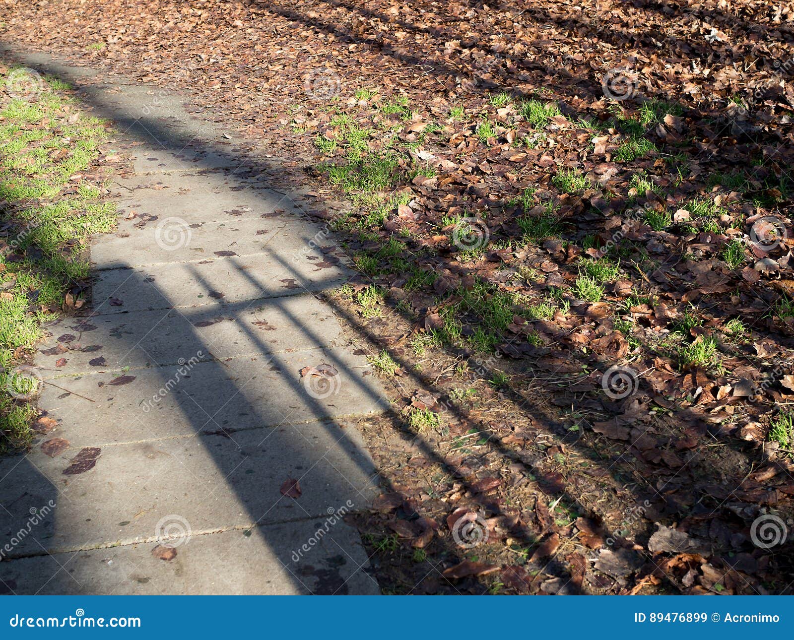Shadow`s gate stock image. Image of outdoors, view, path - 89476899