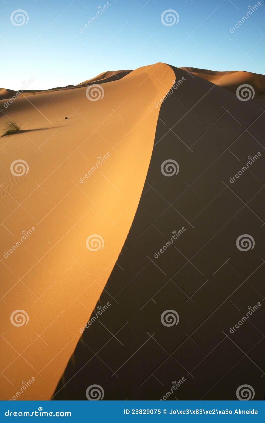 Shadow Sand dune stock image. Image of deserted, morocco - 23829075