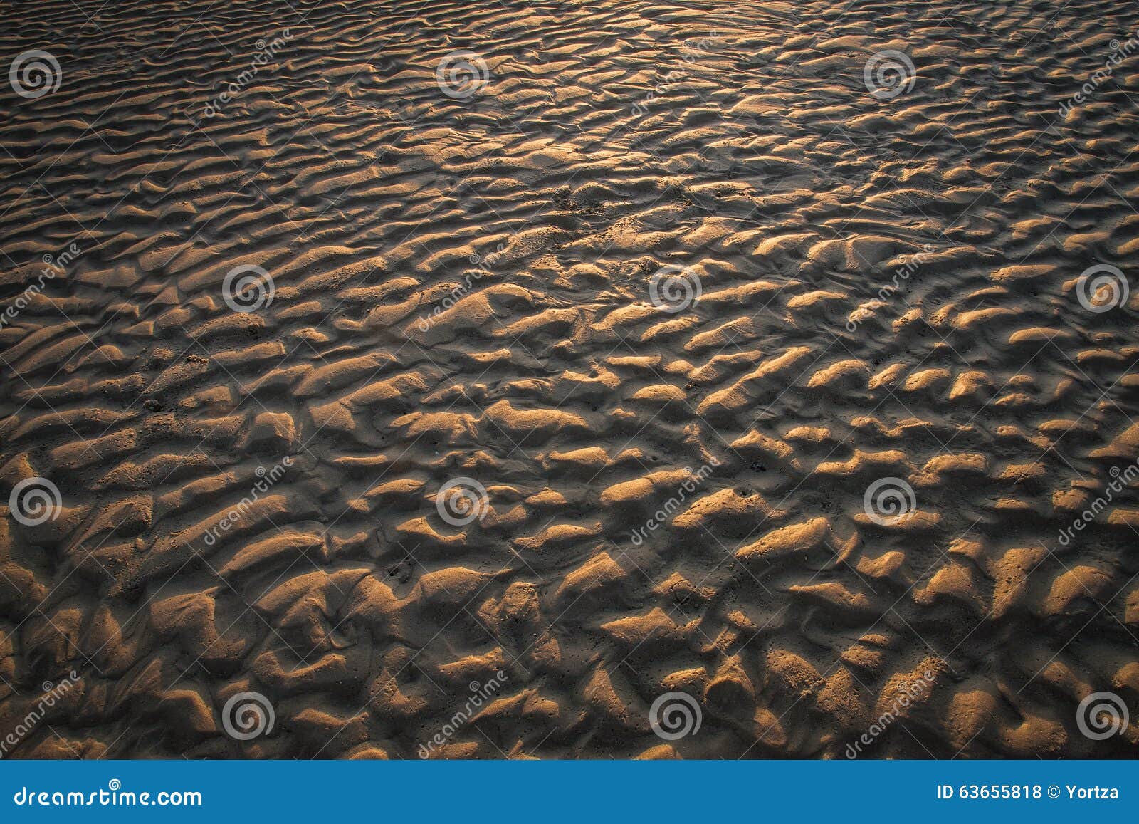 Shadow of sand texture stock photo. Image of texture - 63655818