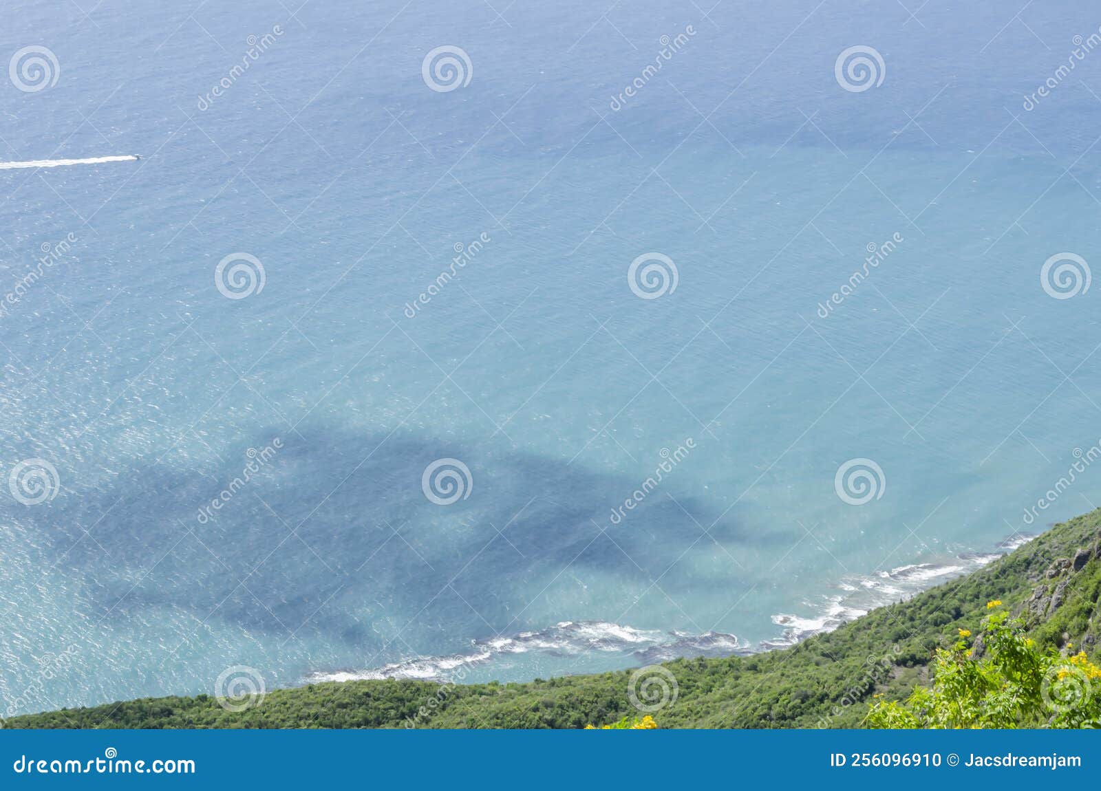 Shadow in the Sea stock photo. Image of foot, grass - 256096910