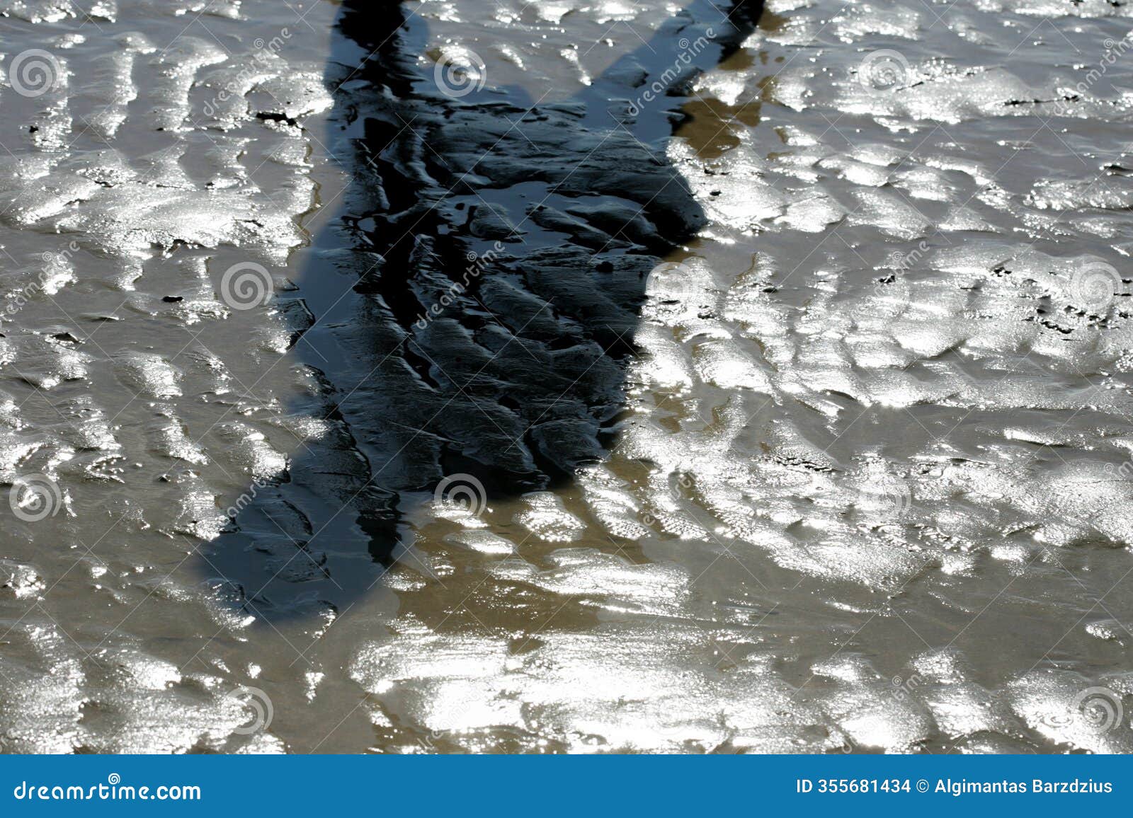 Shadow on the Seaside Sand: a Harmony of Light, Waves, and Natural ...