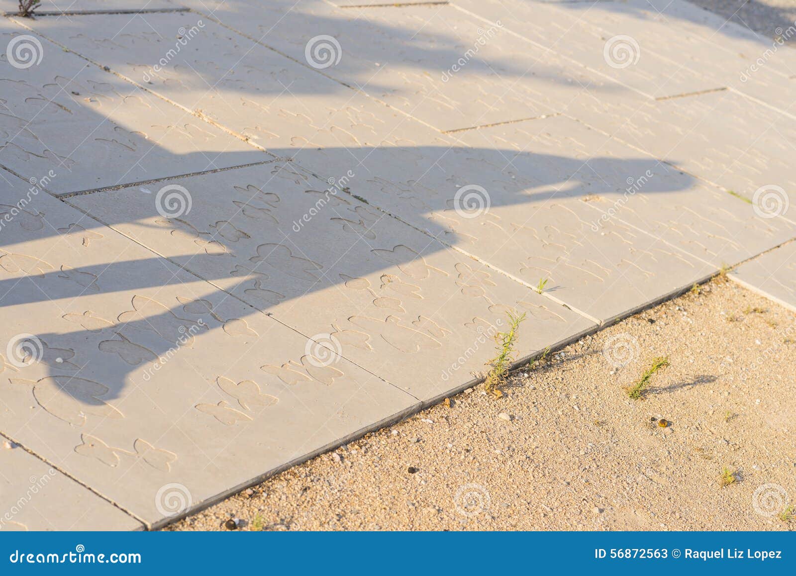 Shadow. stock image. Image of woman, sunlight, thinking - 56872563