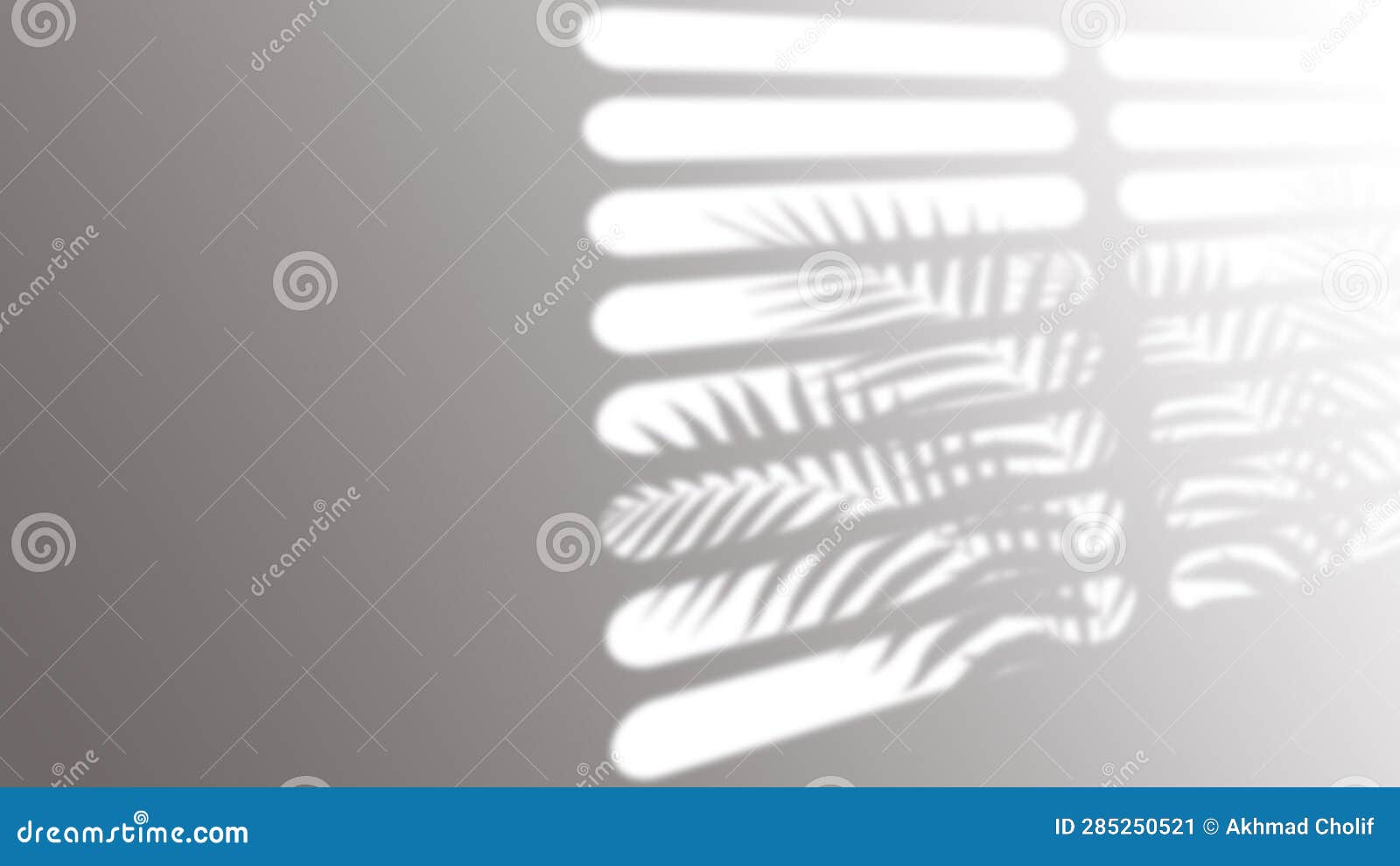 The Sun S Shadow Formed by Being Blocked by Windows, Branches and Twigs ...