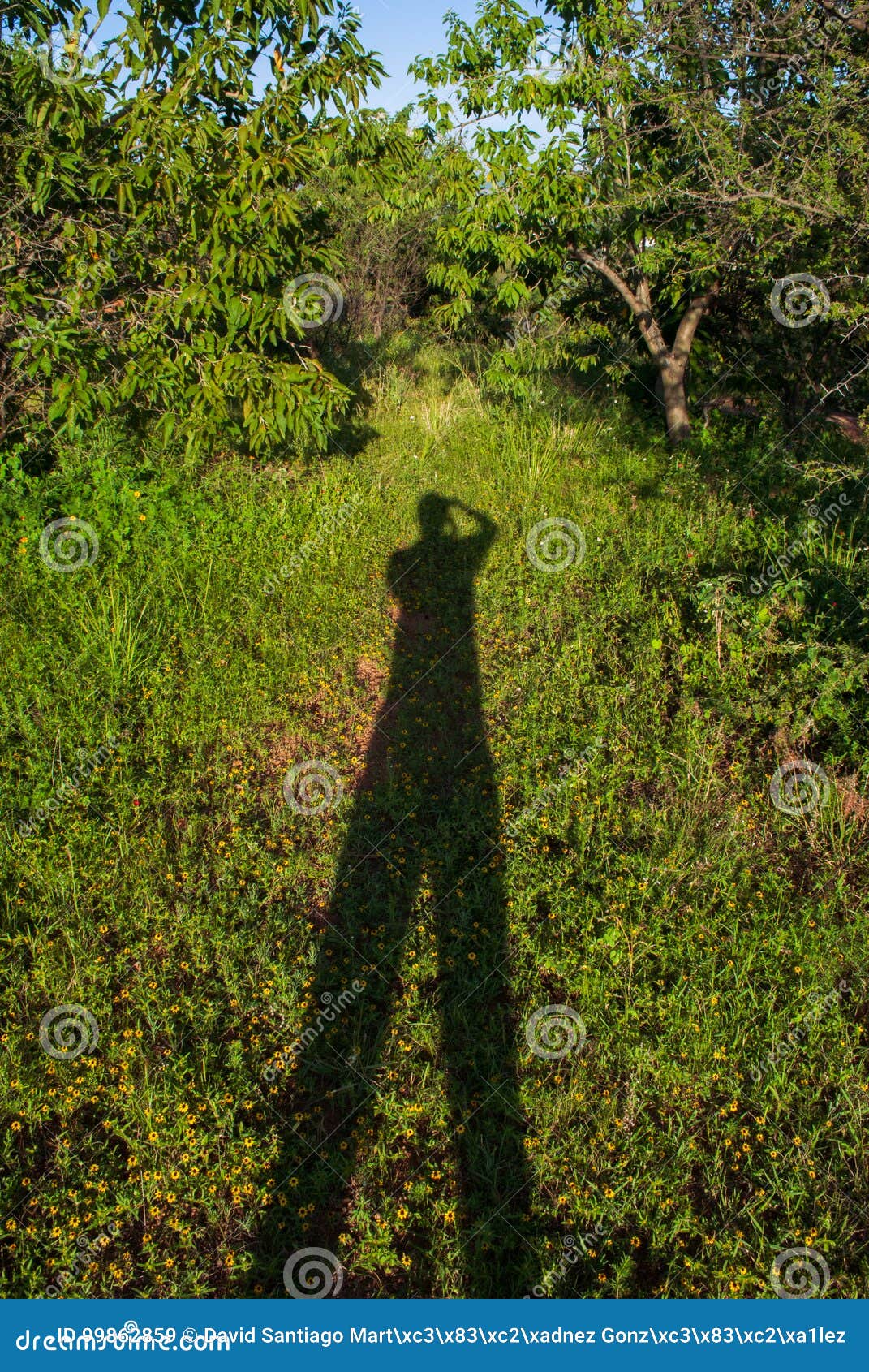 Shadow of my shadow stock image. Image of green, flowers - 99862859