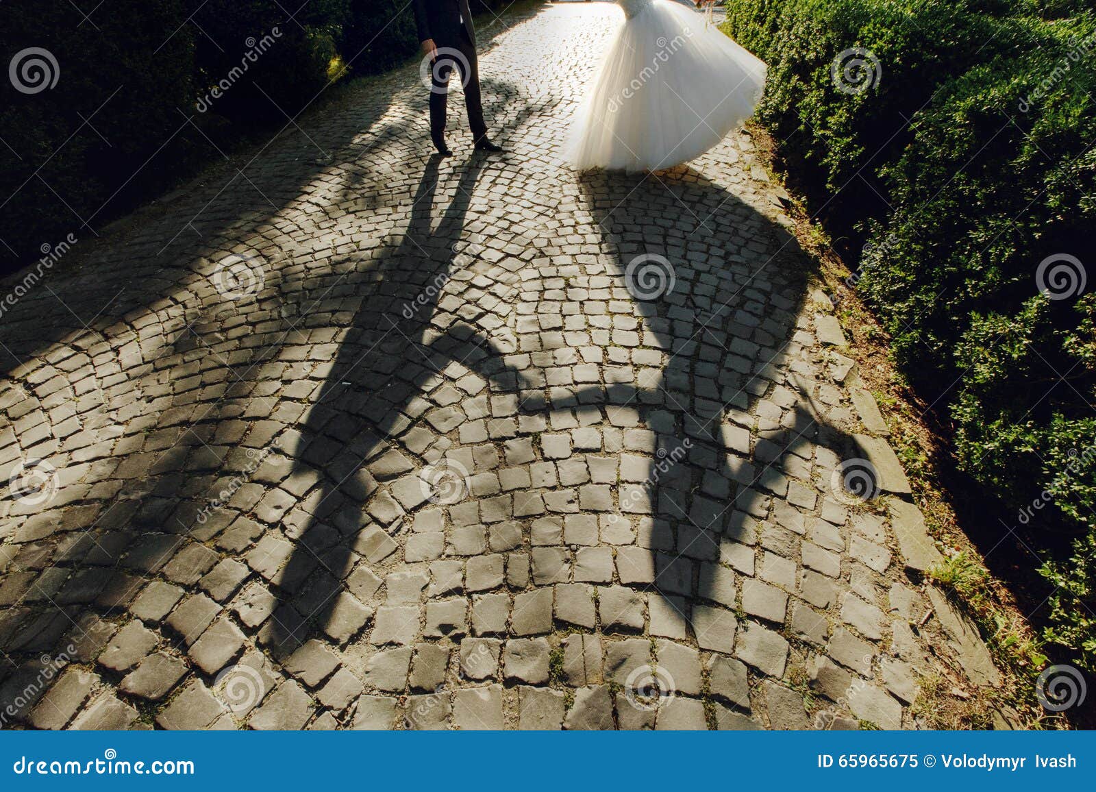 Shadow Silhouette of Beautiful Bride and Handsome Groom Dancing Stock ...