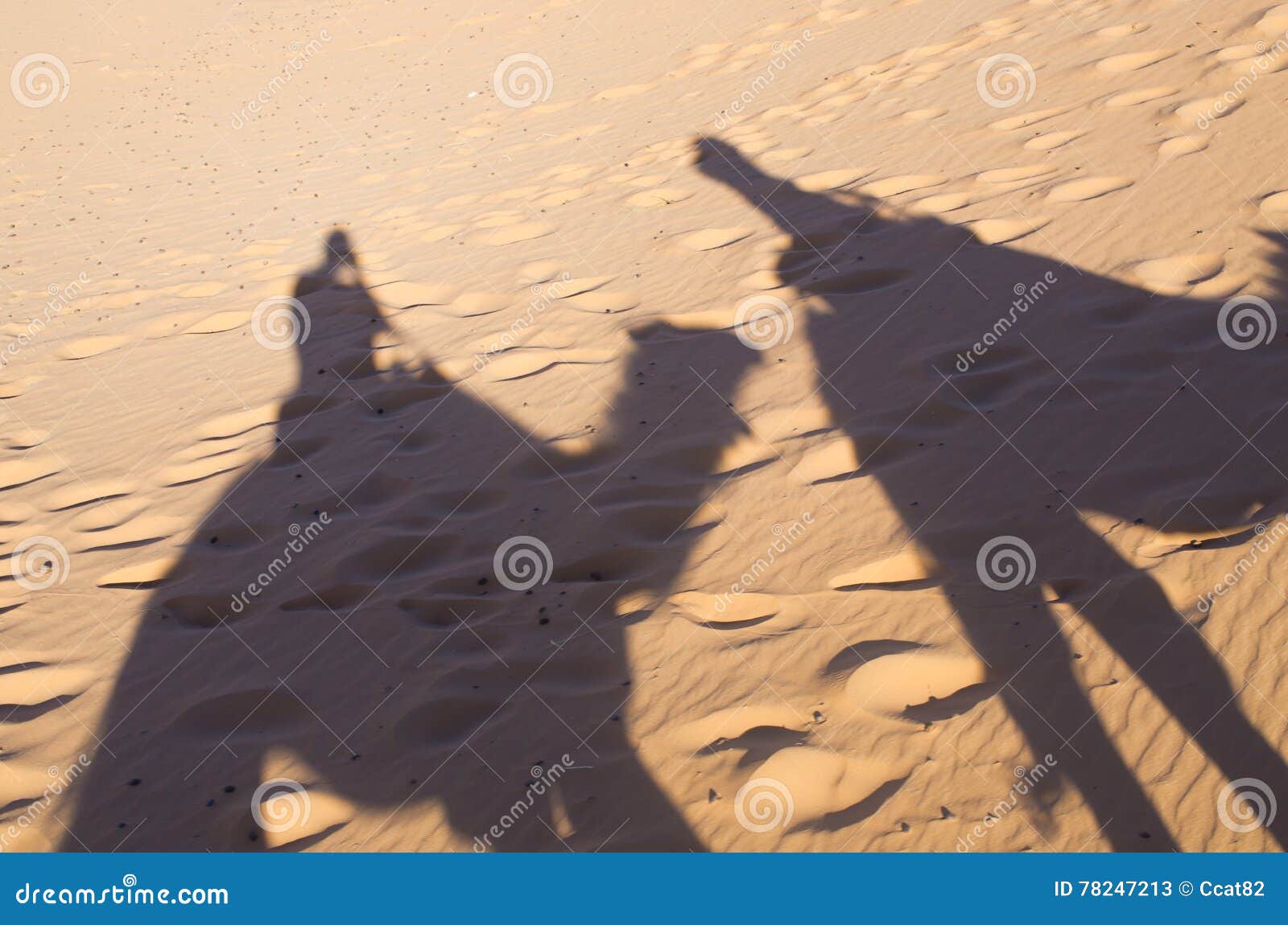 Shadow Silhouettes on the Desert Stock Image - Image of morocco, nomad ...