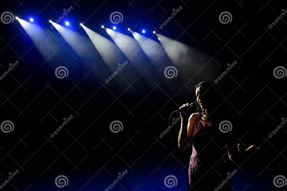Shadow of Singer in Light on the Stage Stock Image - Image of broadway ...