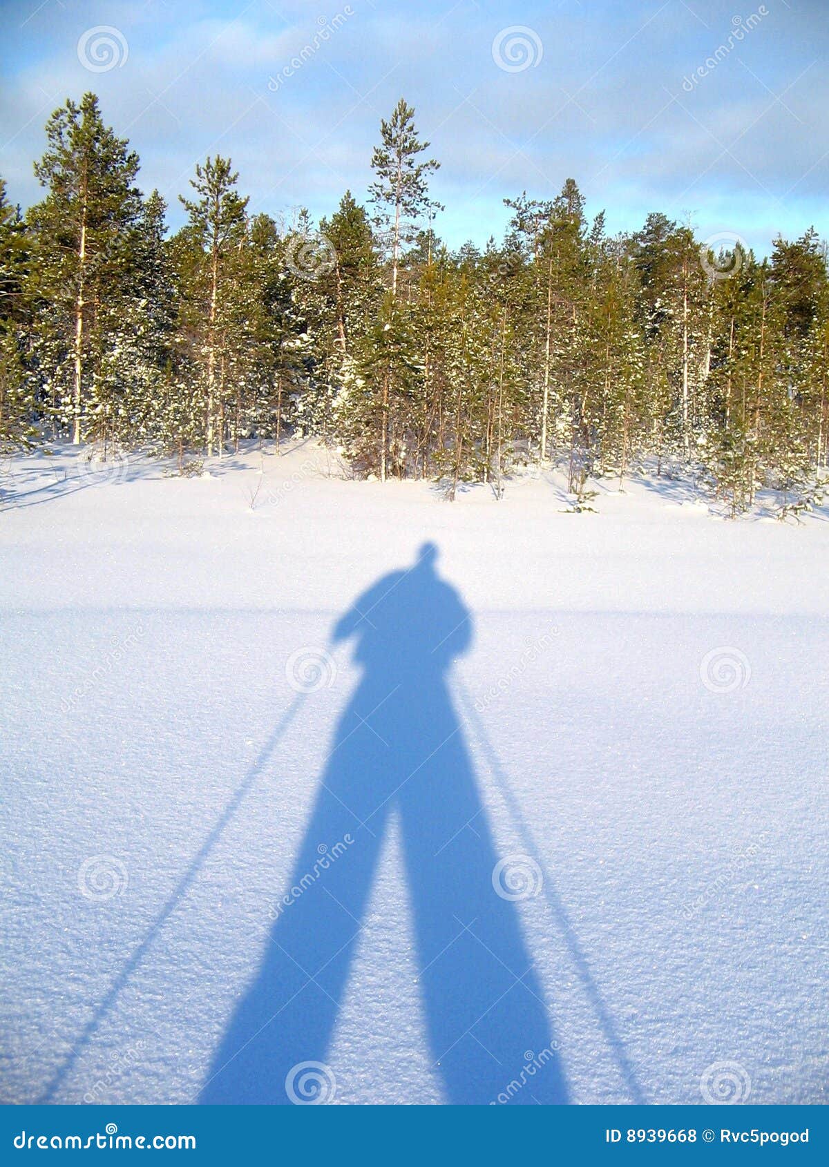 Shadow of skier stock photo. Image of white, active, sportsman - 8939668