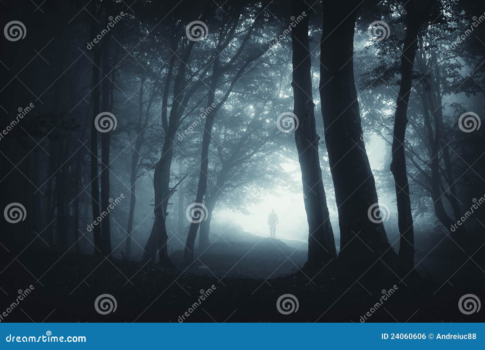 Shadow Sneaking in the Dark Forest Stock Photo - Image of dark, blue ...