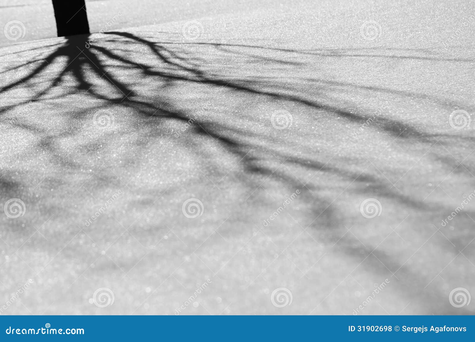 Shadow on the snow. stock photo. Image of artistic, frozen - 31902698
