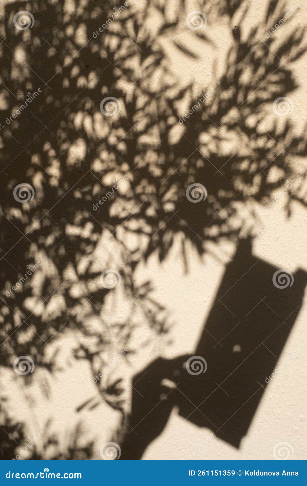 Shadow of Solar Eclipse on Yellow Wall Stock Image - Image of ...