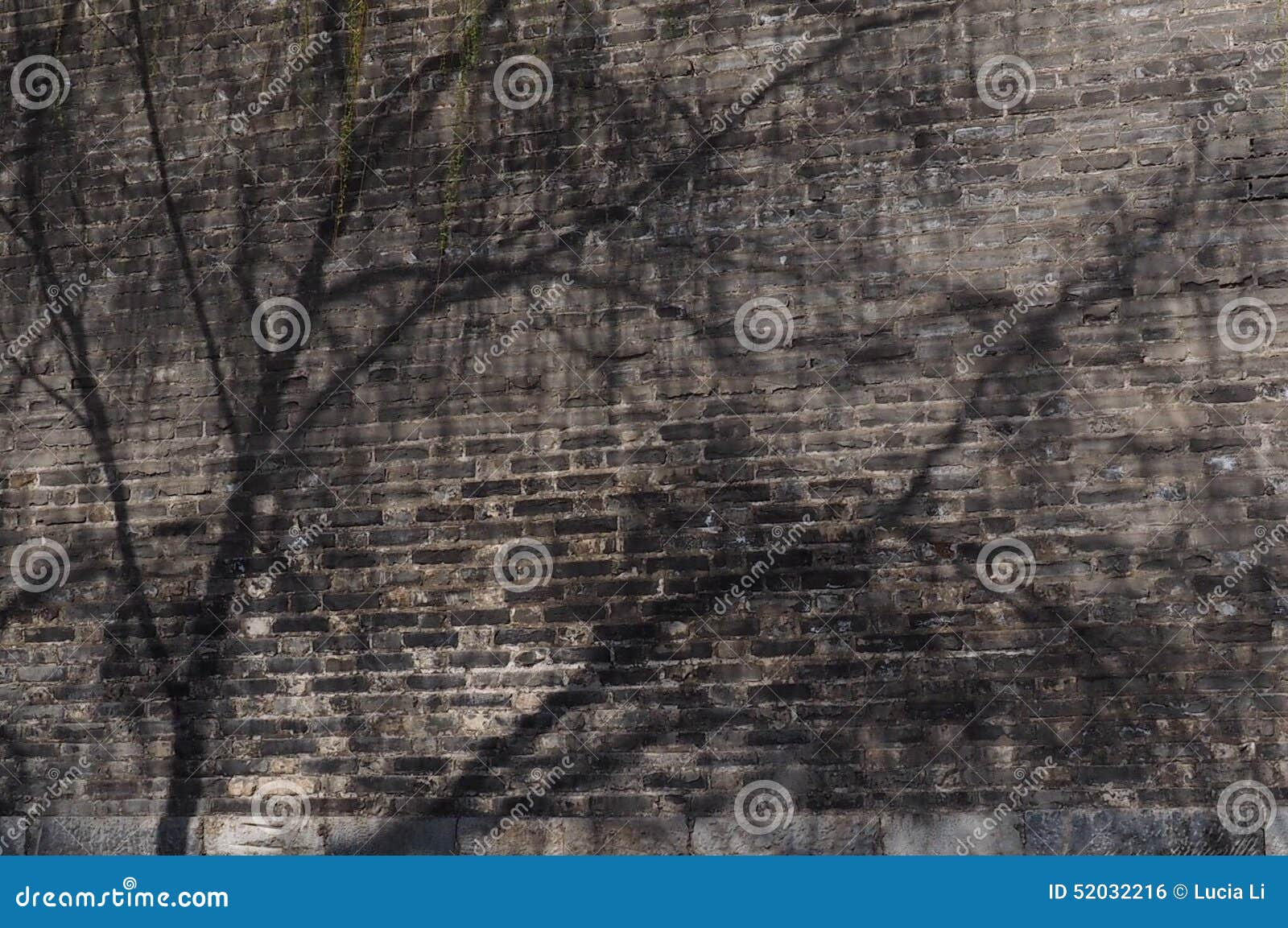 Shadow of spring editorial photo. Image of shadow, spring - 52032216