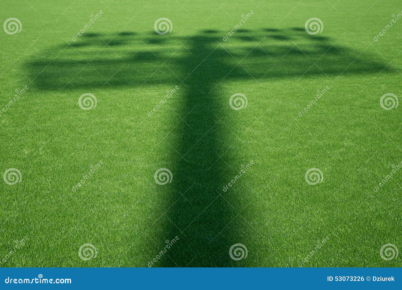 Shadow of Stadium Light on the Grass Stock Photo - Image of shadow ...