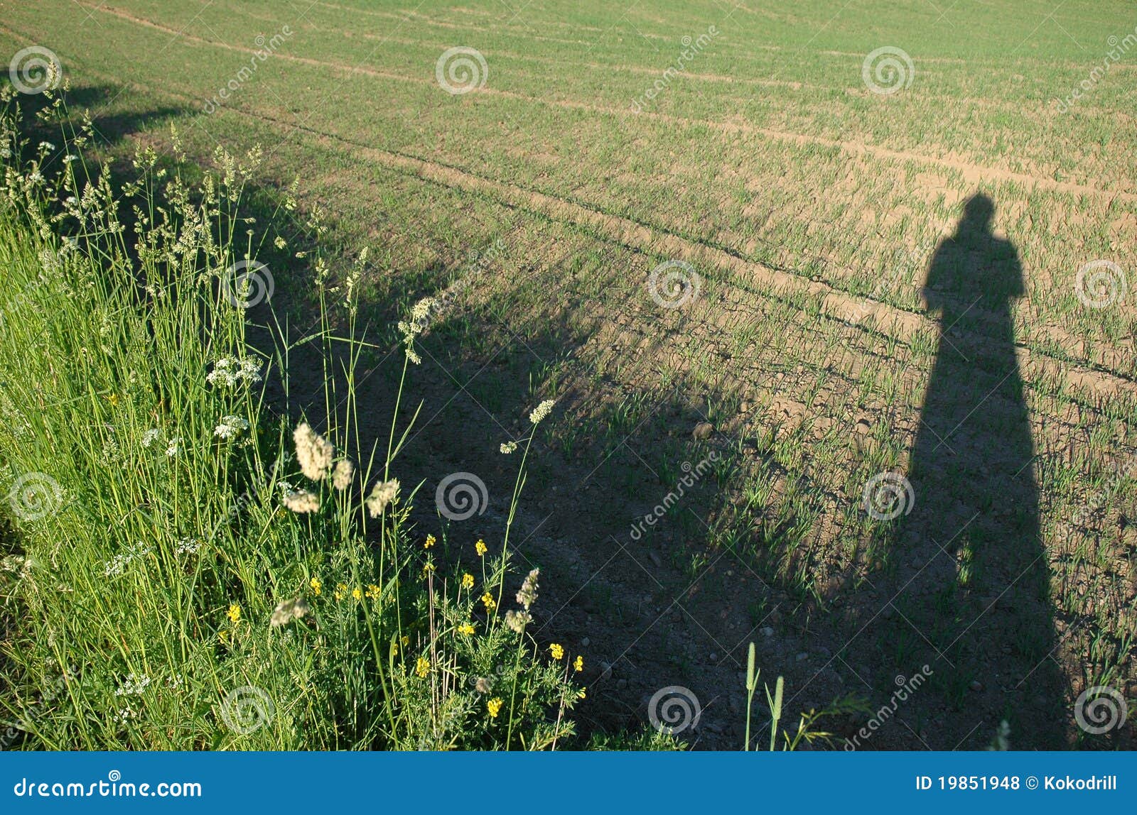 A Shadow of Standing Human Falling on the Field Stock Photo - Image of ...