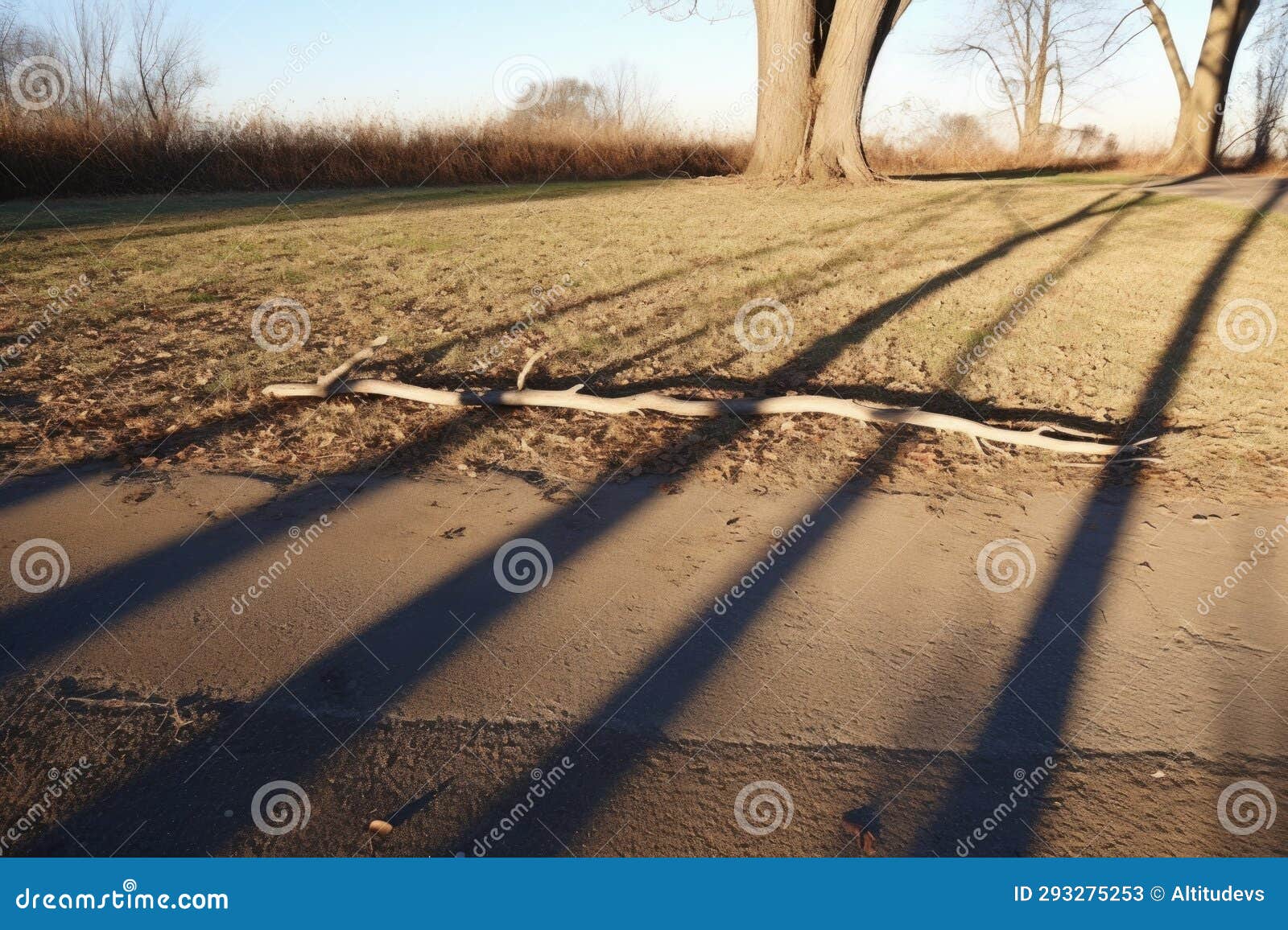 Shadow of a Stick Changing Over Time Stock Image - Image of growth ...
