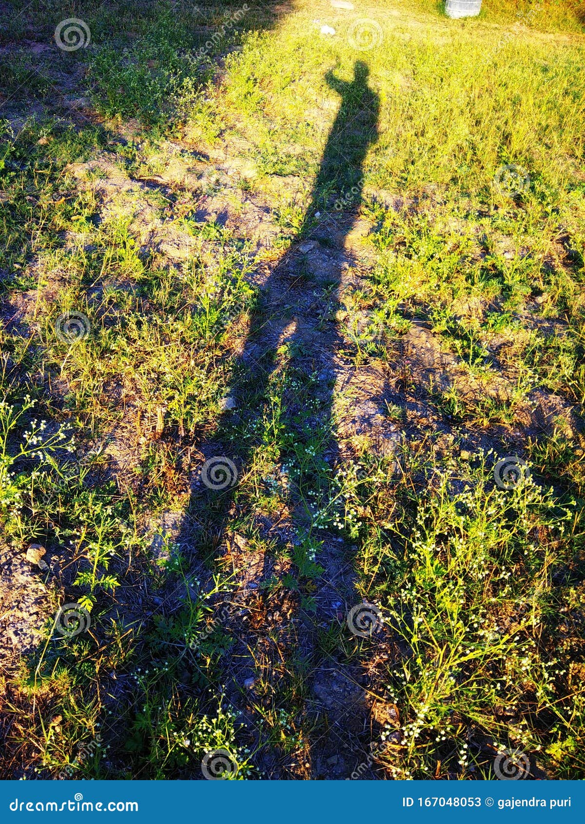 Shadow of sun stock image. Image of method, tribe, water - 167048053