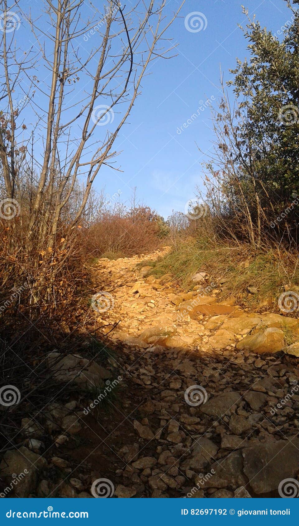 Shadow and sun stock photo. Image of sunrise, shadow - 82697192