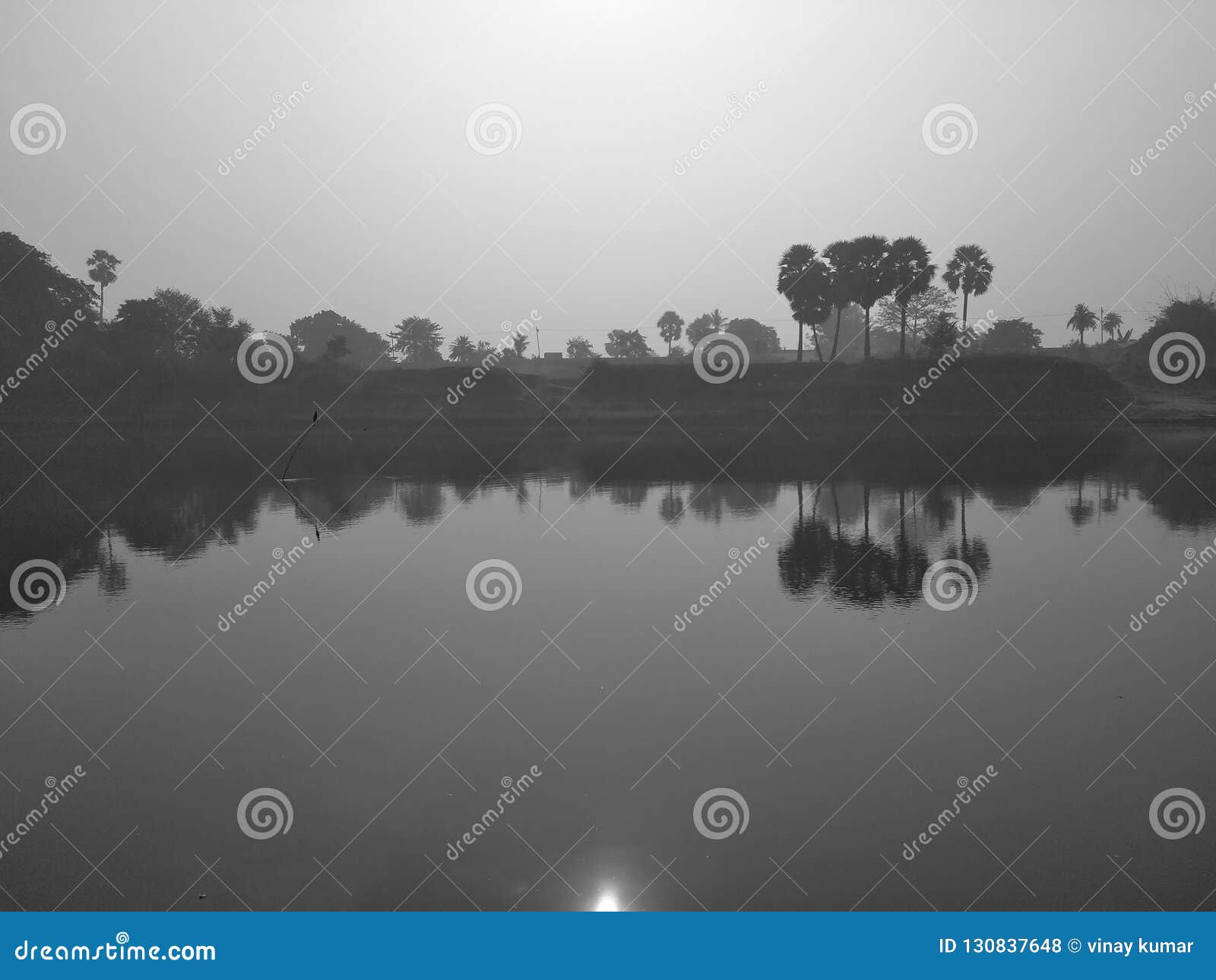Shadow of Sun and Trees in the River Stock Photo - Image of river ...