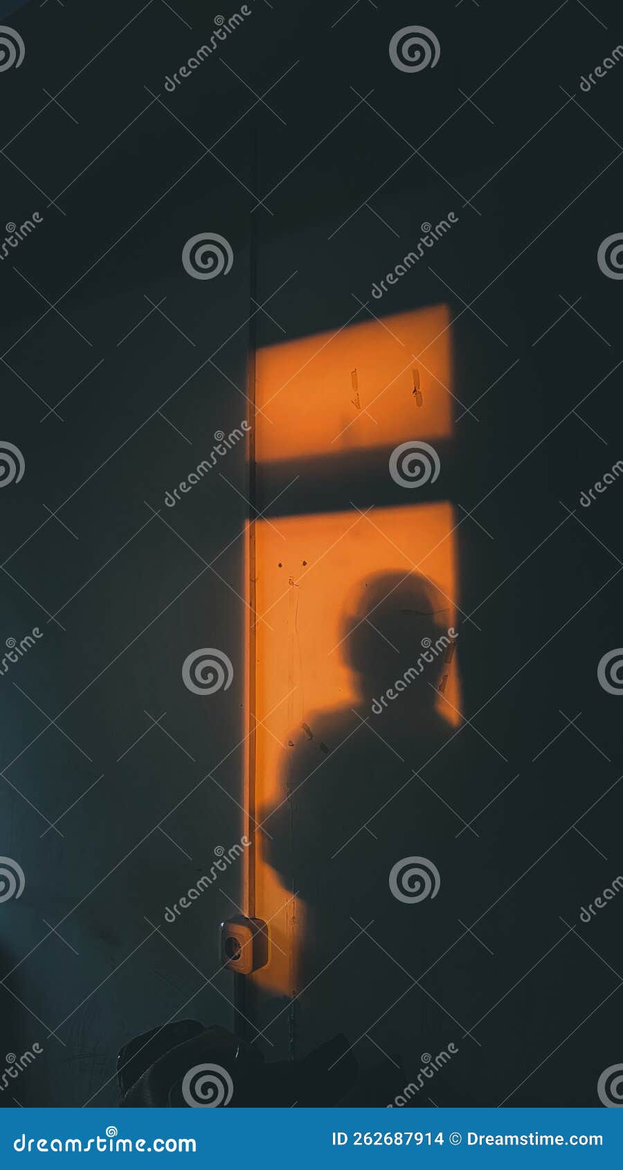 Shadow at sunset stock photo. Image of shadow, catch - 262687914