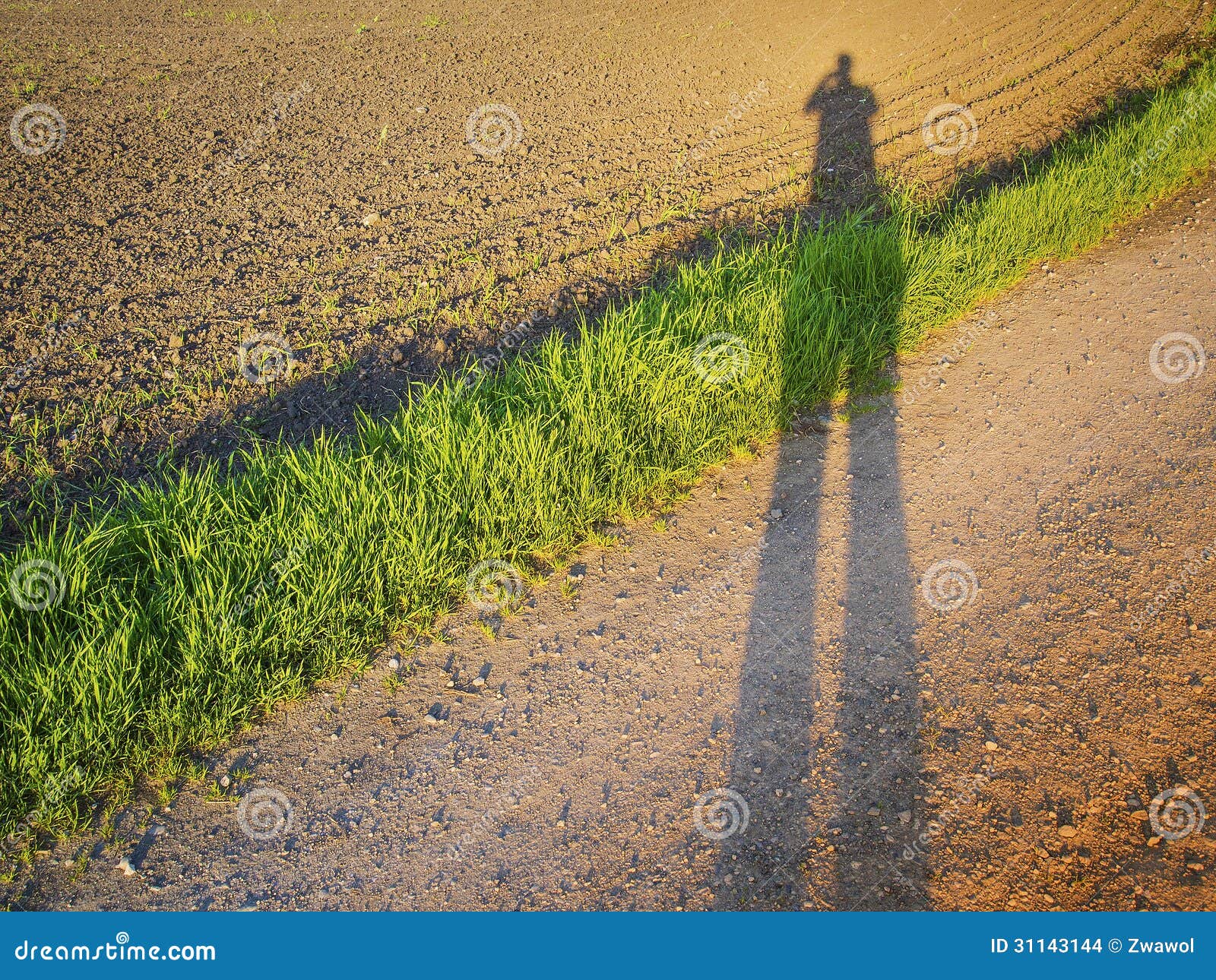 Shadow at sunset stock photo. Image of light, farmland - 31143144