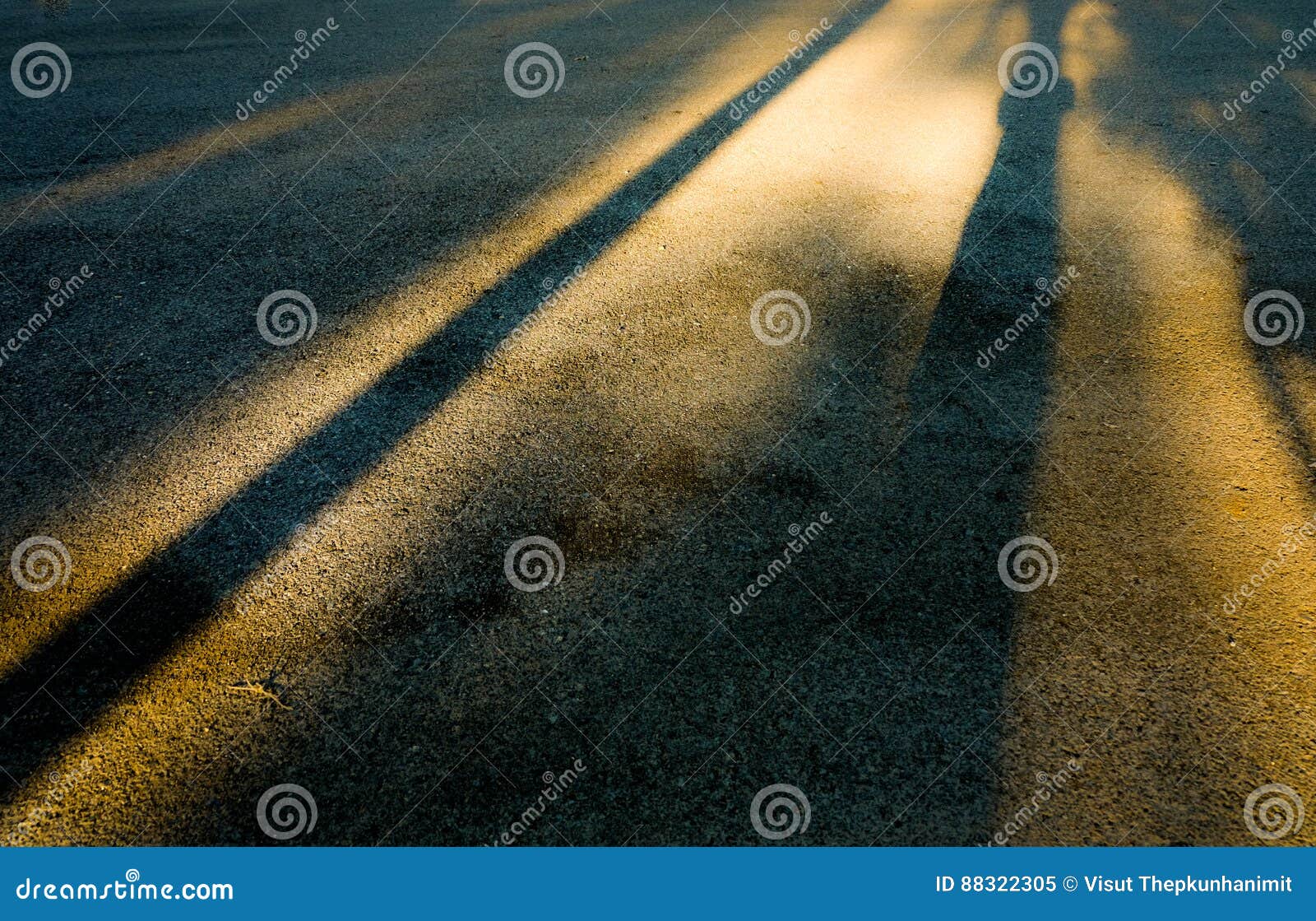 Shadow of sunset. stock image. Image of bright, look - 88322305