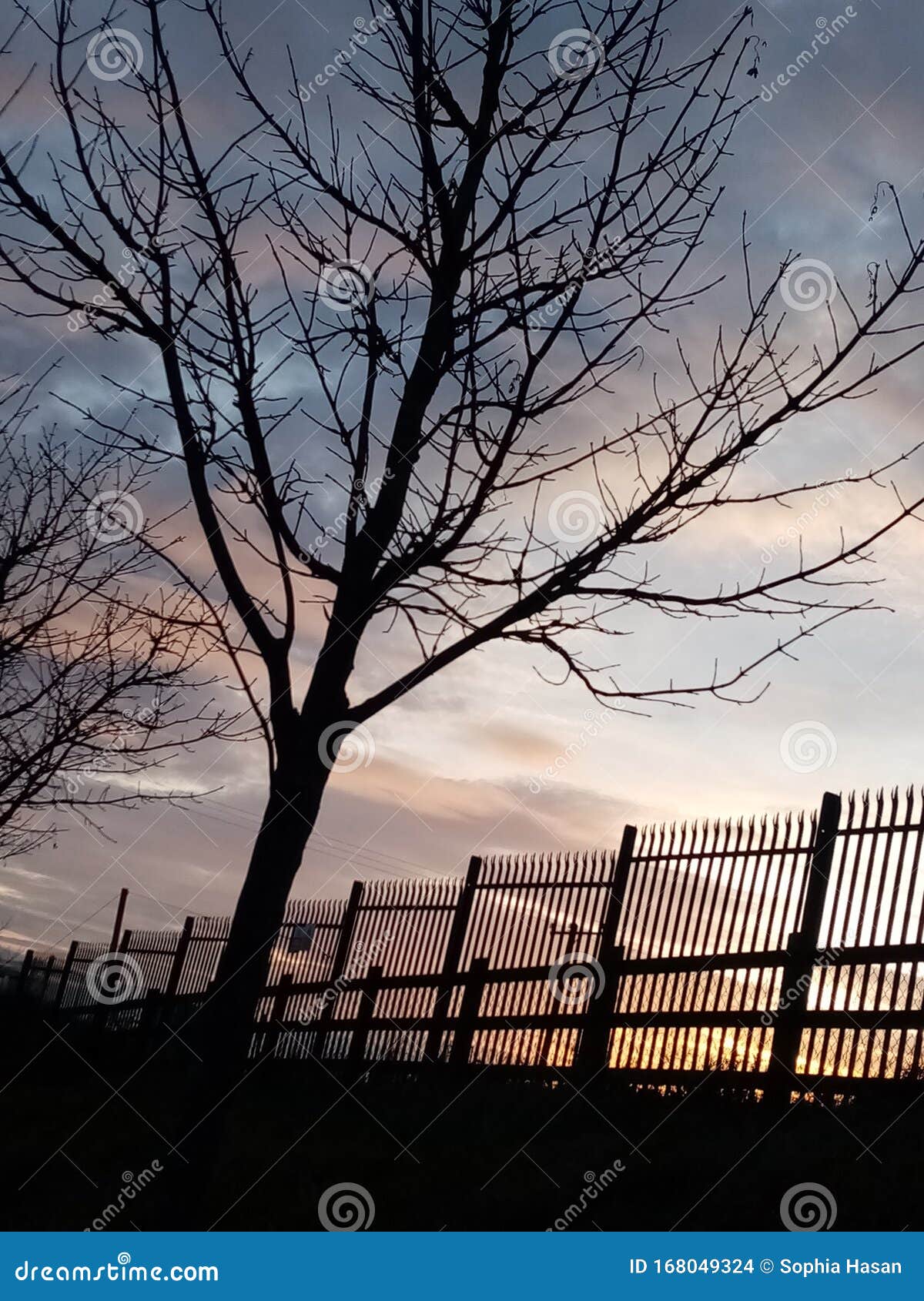 Shadow sunset stock photo. Image of aesthetic, esthetic - 168049324