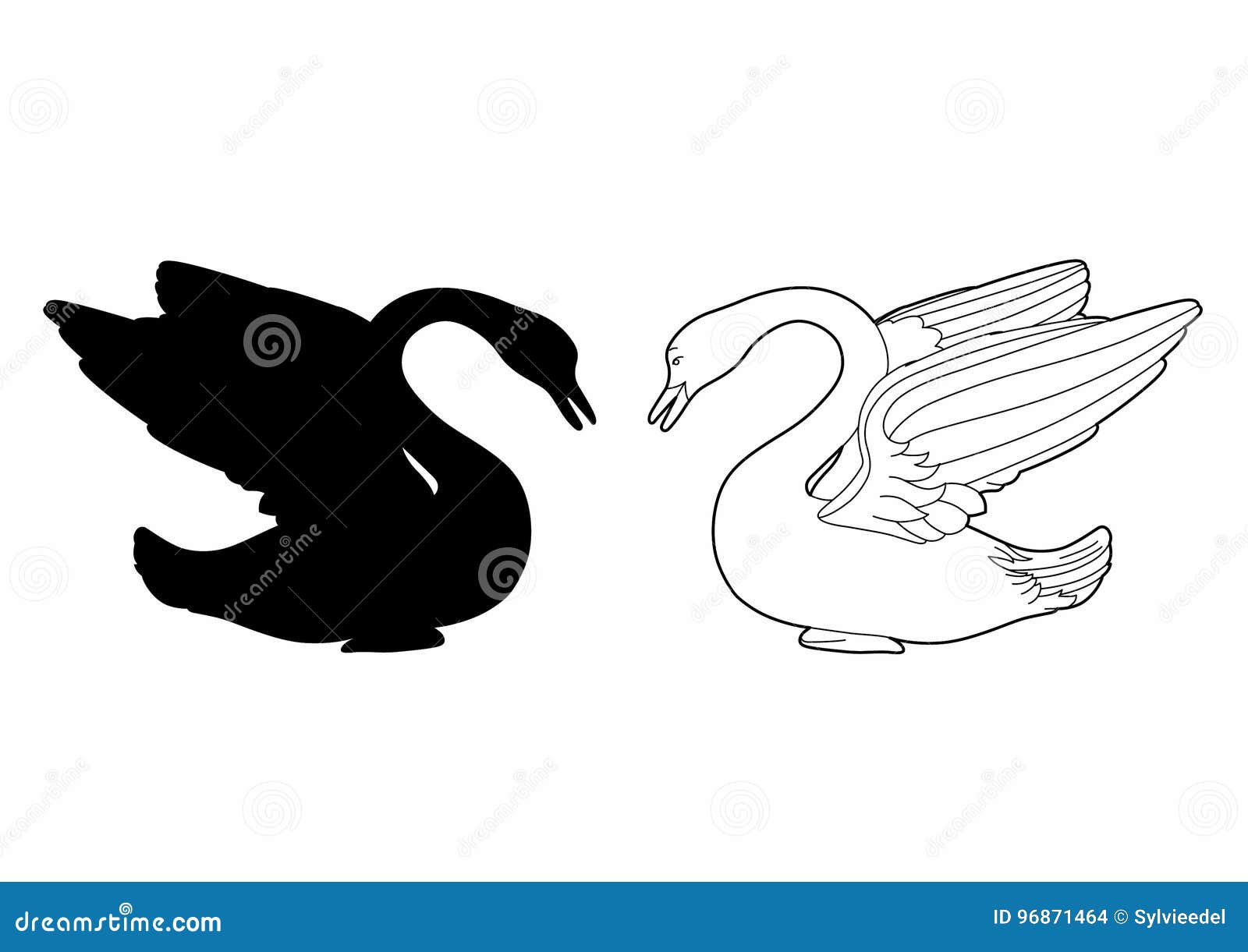 Shadow of a swan stock vector. Illustration of vector - 96871464