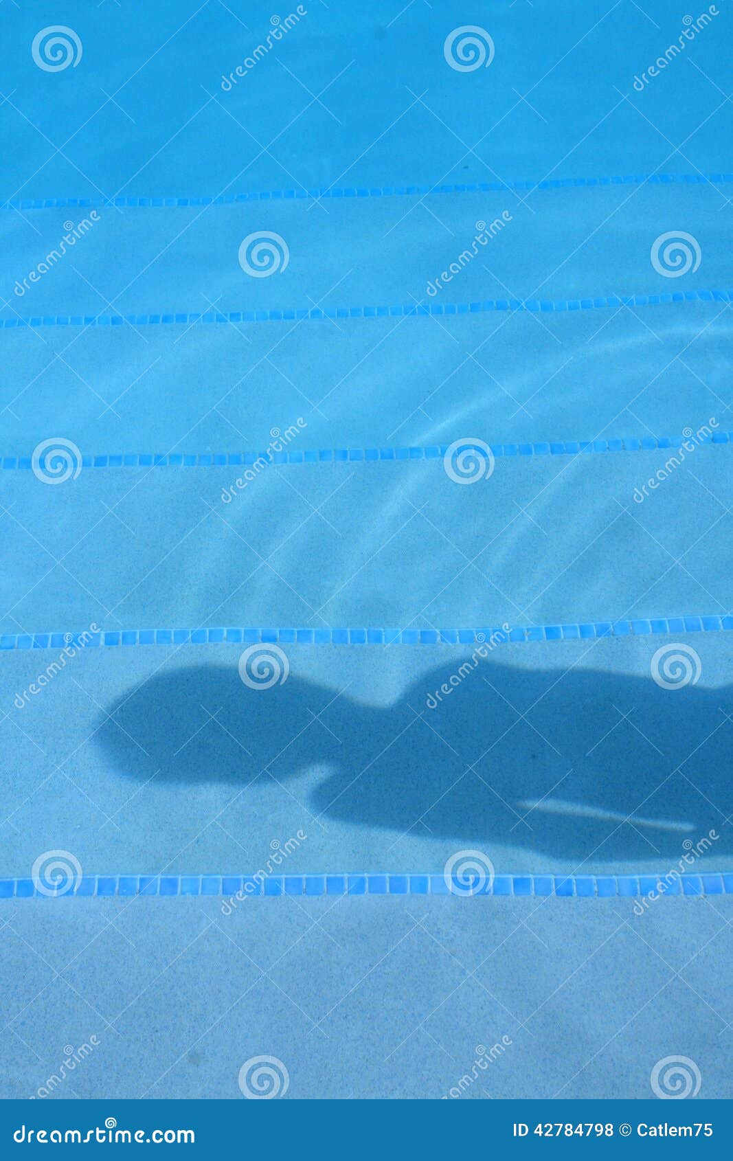 Shadow on a swimming pool stock photo. Image of vertical - 42784798