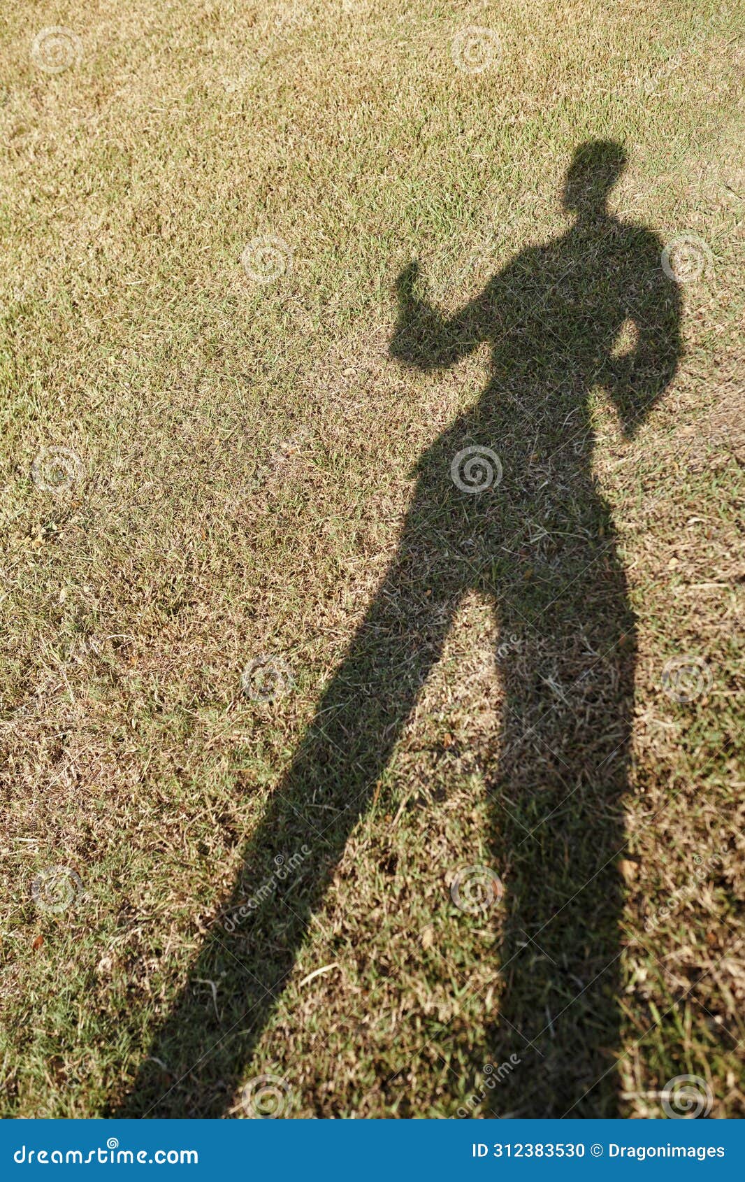 Shadow of Training Athlete stock photo. Image of energy - 312383530