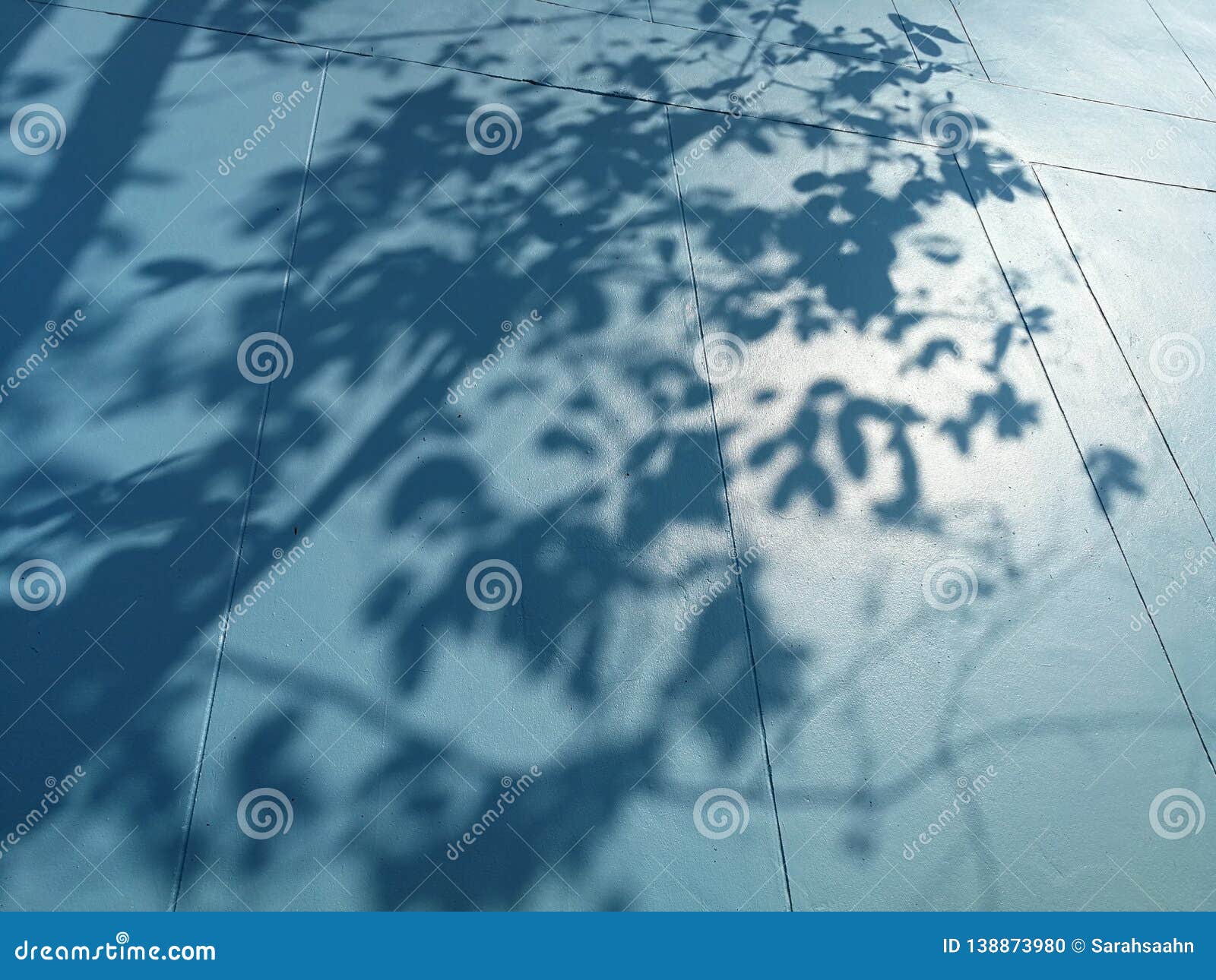 Tree Leaves Shadows on Blue Wall, Shadows and Lights. Stock Photo ...