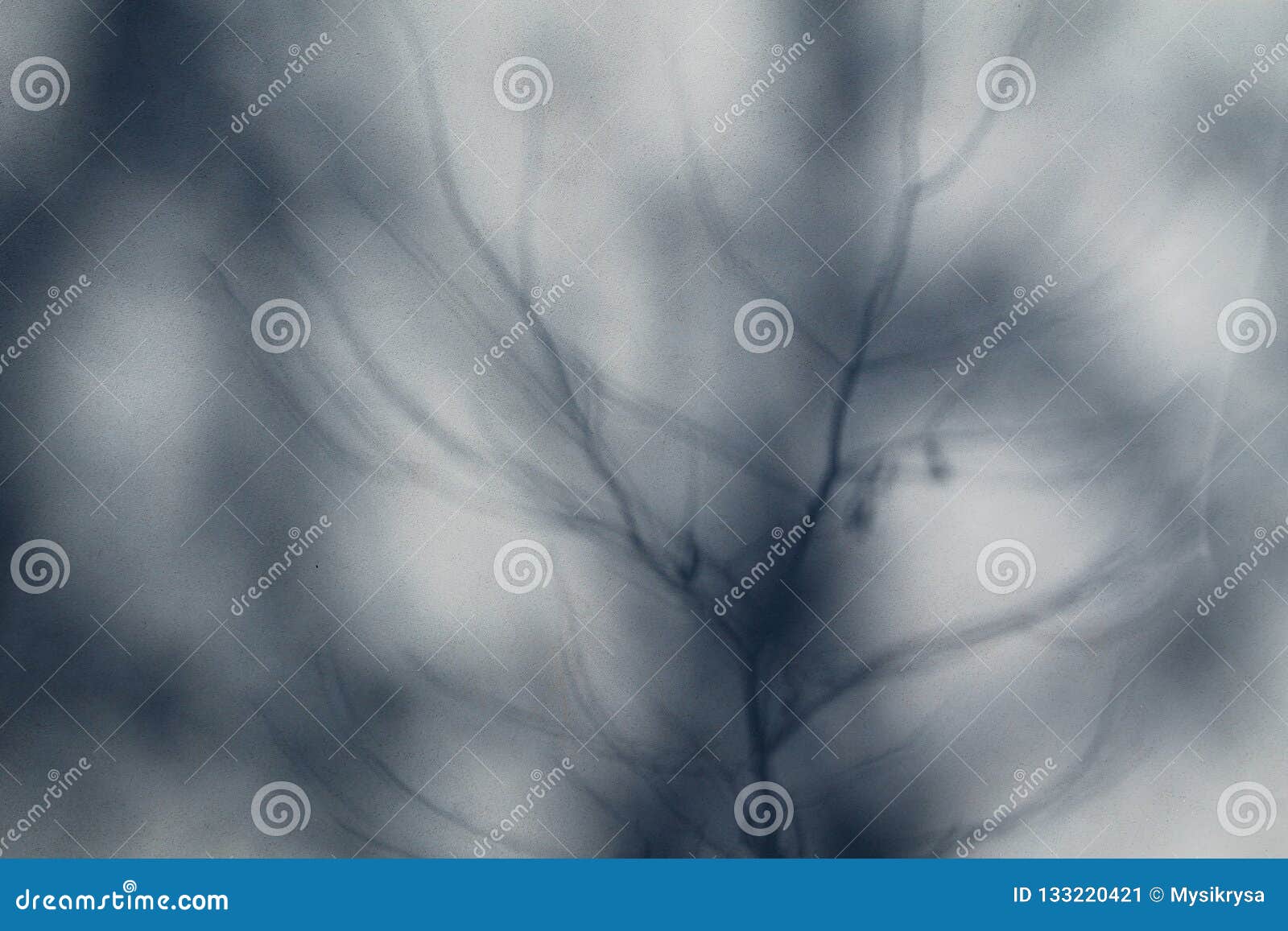Shadow of the tree stock image. Image of abstract, branches - 133220421