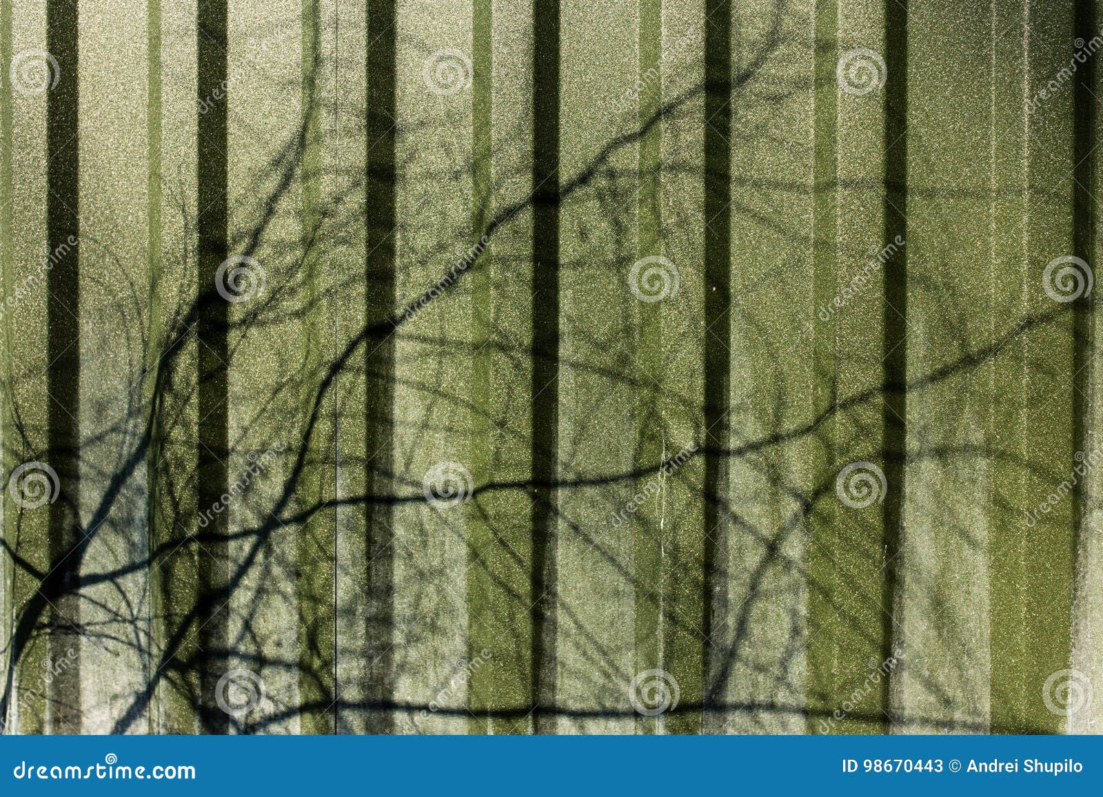 Shadow from a Tree Branch on a Fence Stock Image - Image of light ...