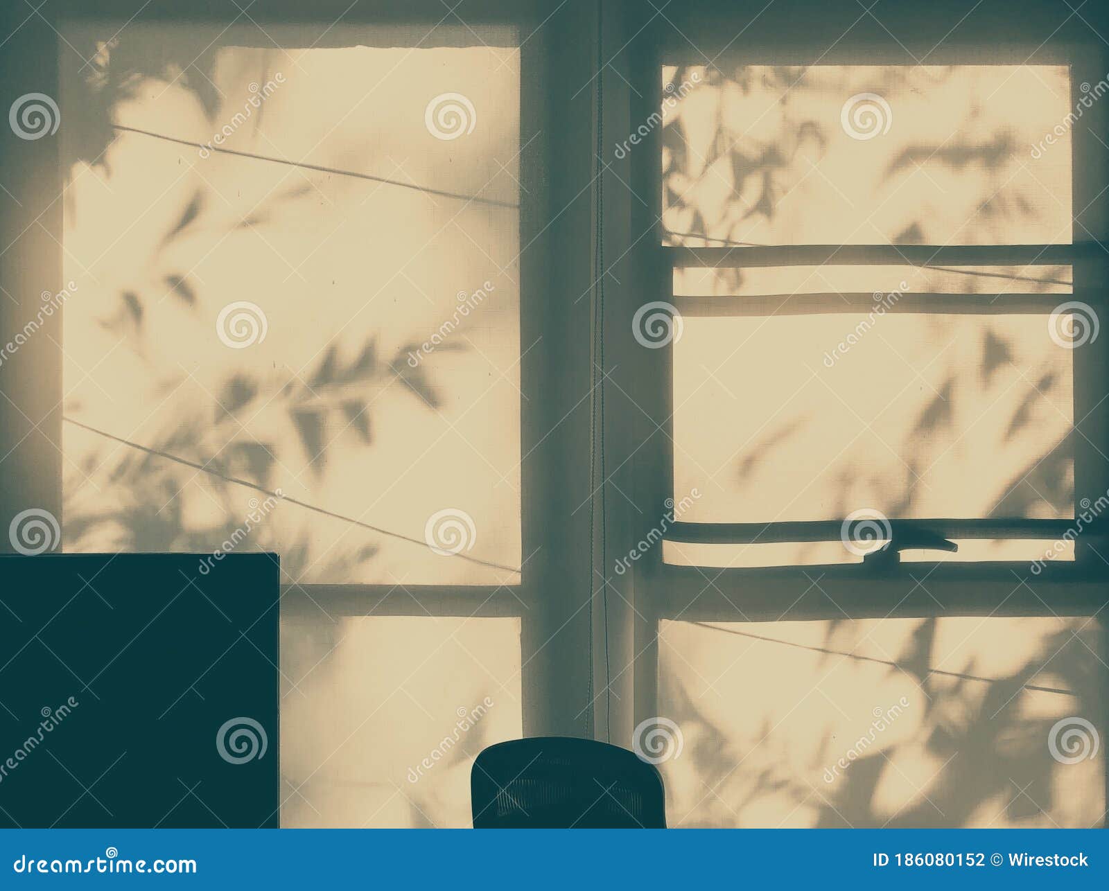 Shadow of the Tree Branch through the Window Stock Photo - Image of ...
