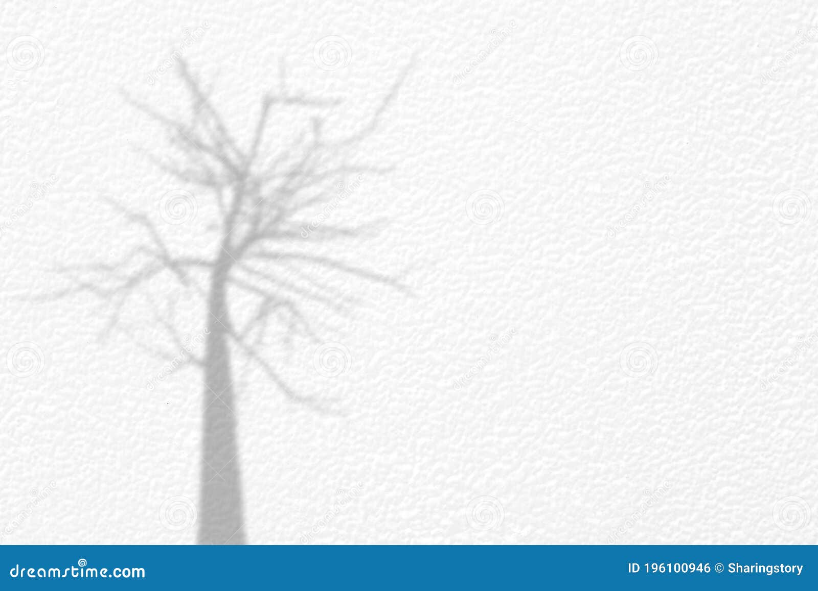 Shadow of the Tree Branches that No Leaves on White Wall Stock Photo ...